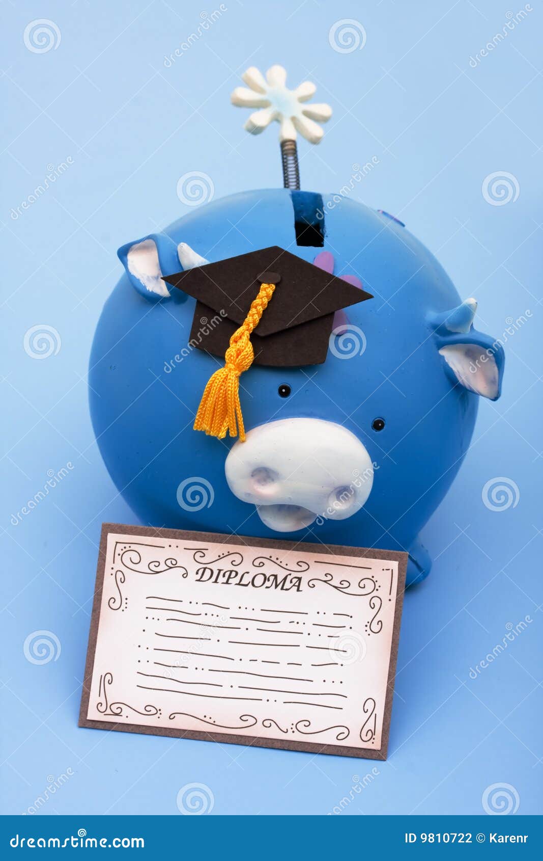Blue Pig Graduation Cap Stock Photos - Free & Royalty-Free Stock Photos ...