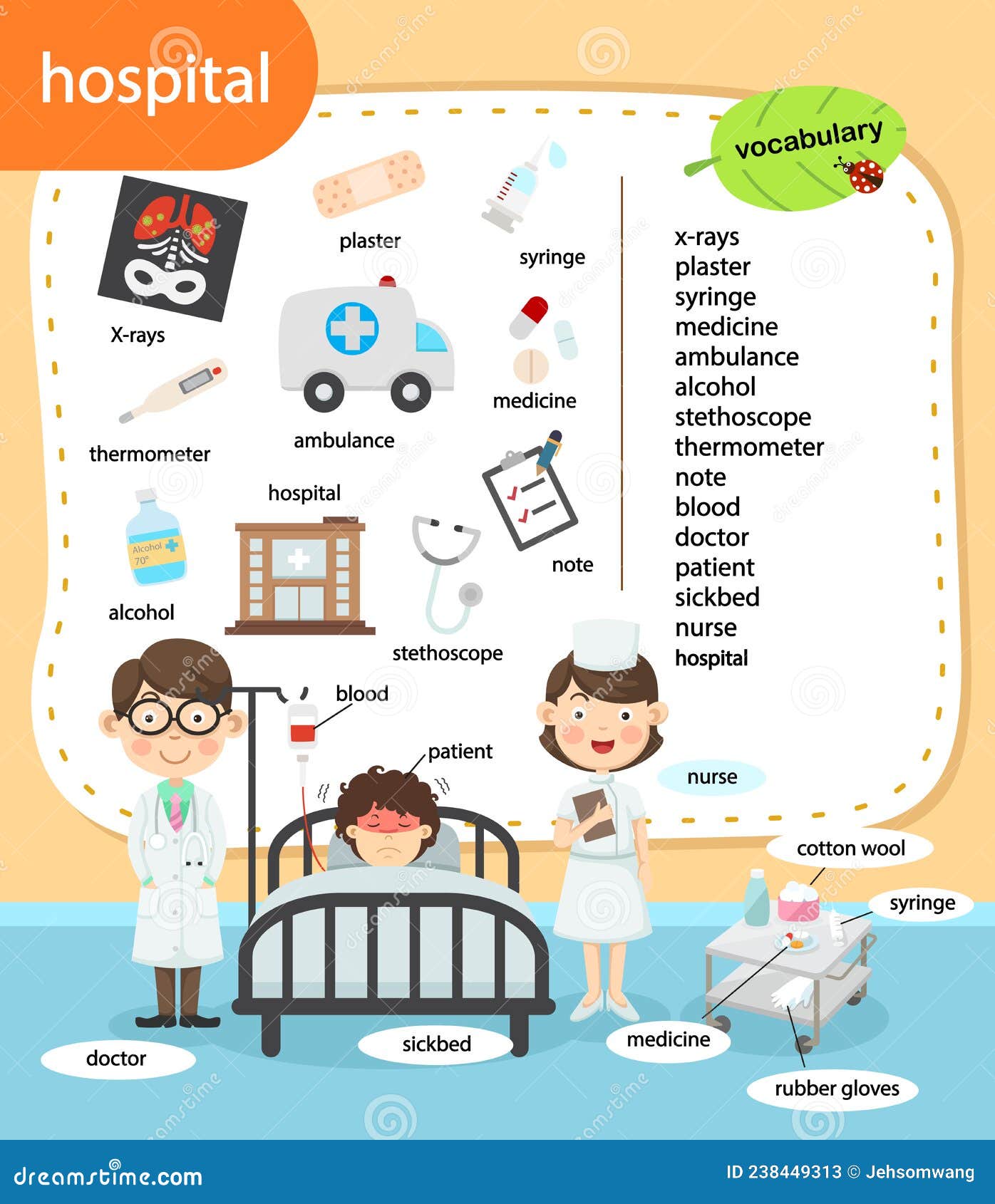 Education Vocabulary Hospital Stock Vector - Illustration of english ...