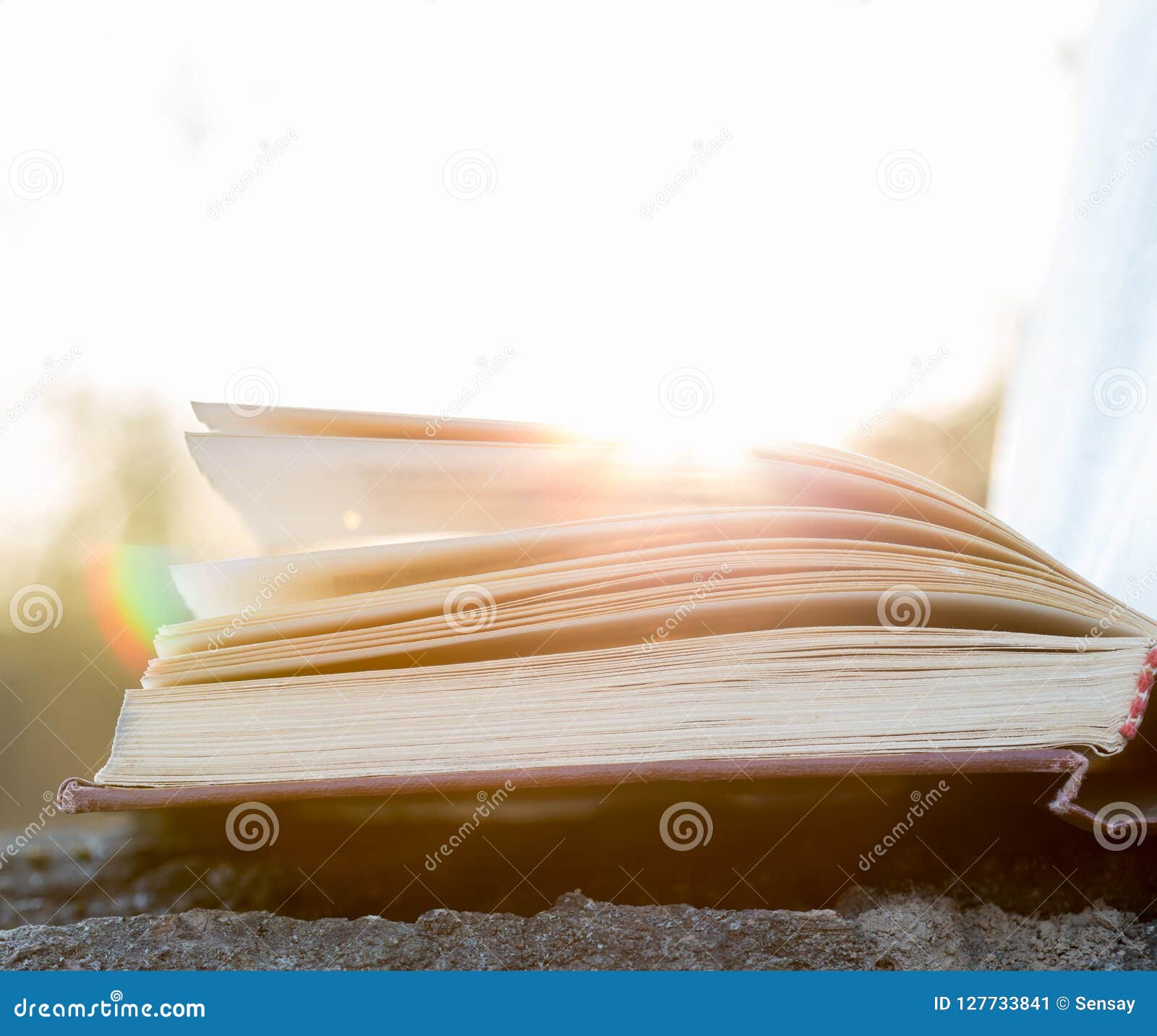 Education and Wisdom Concept - Open Book Under Sunlight Stock Image ...