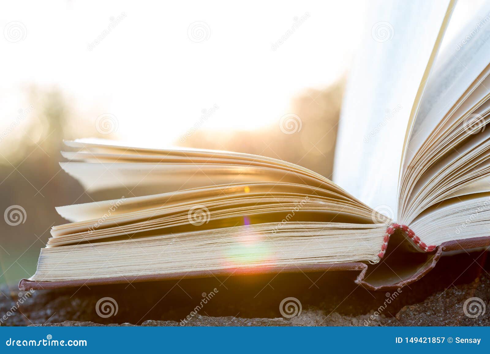 Education and Wisdom Concept - Open Book Under Sunlight Stock Image ...