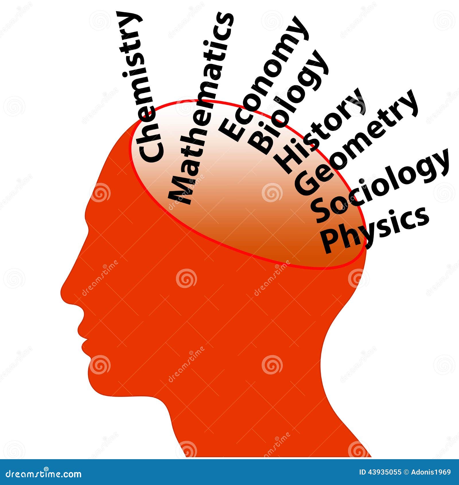 Education Words in Man S Brain Stock Vector - Illustration of ...