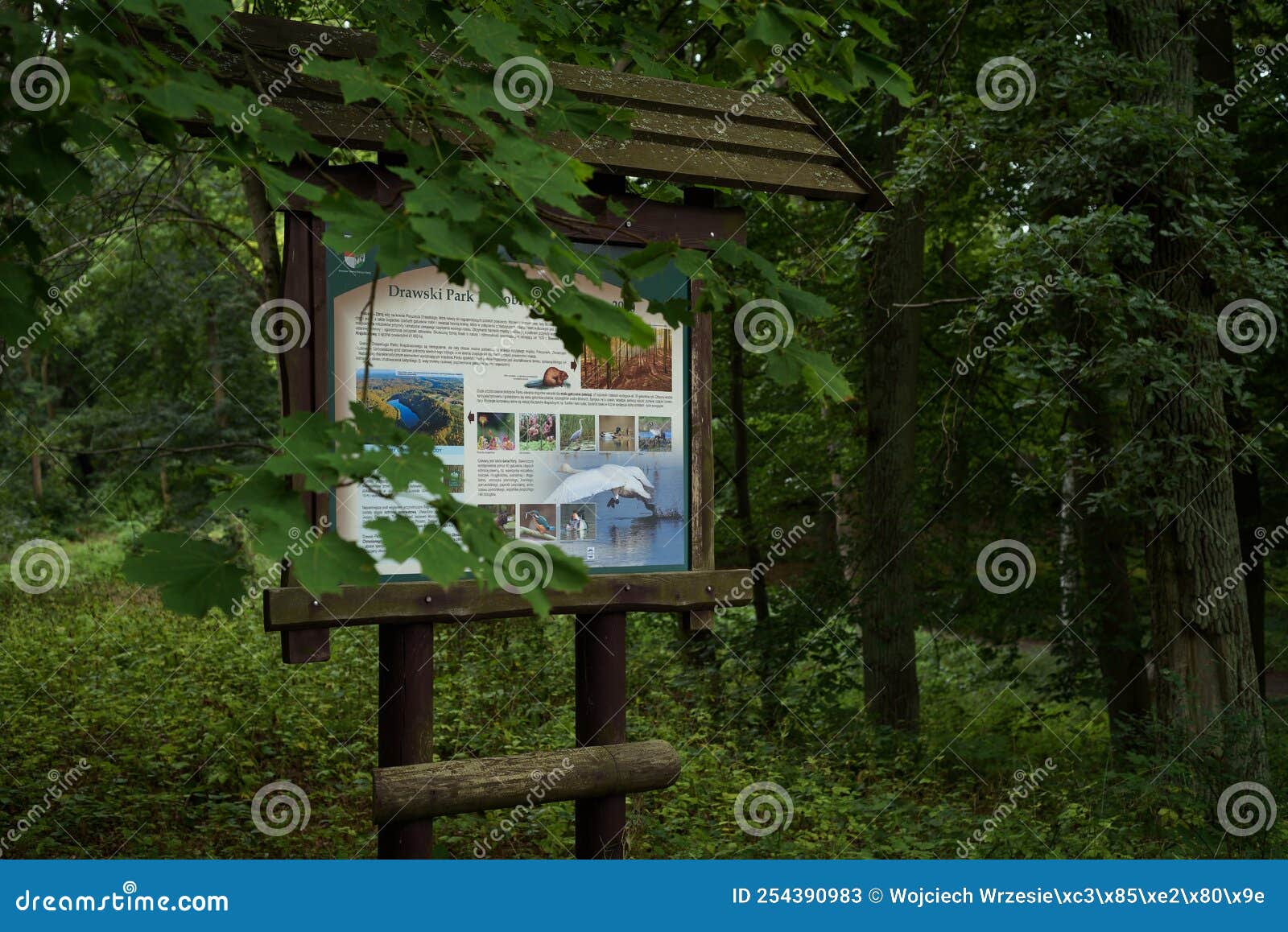 EDUCATION TABLE editorial stock photo. Image of polczyn - 254390983