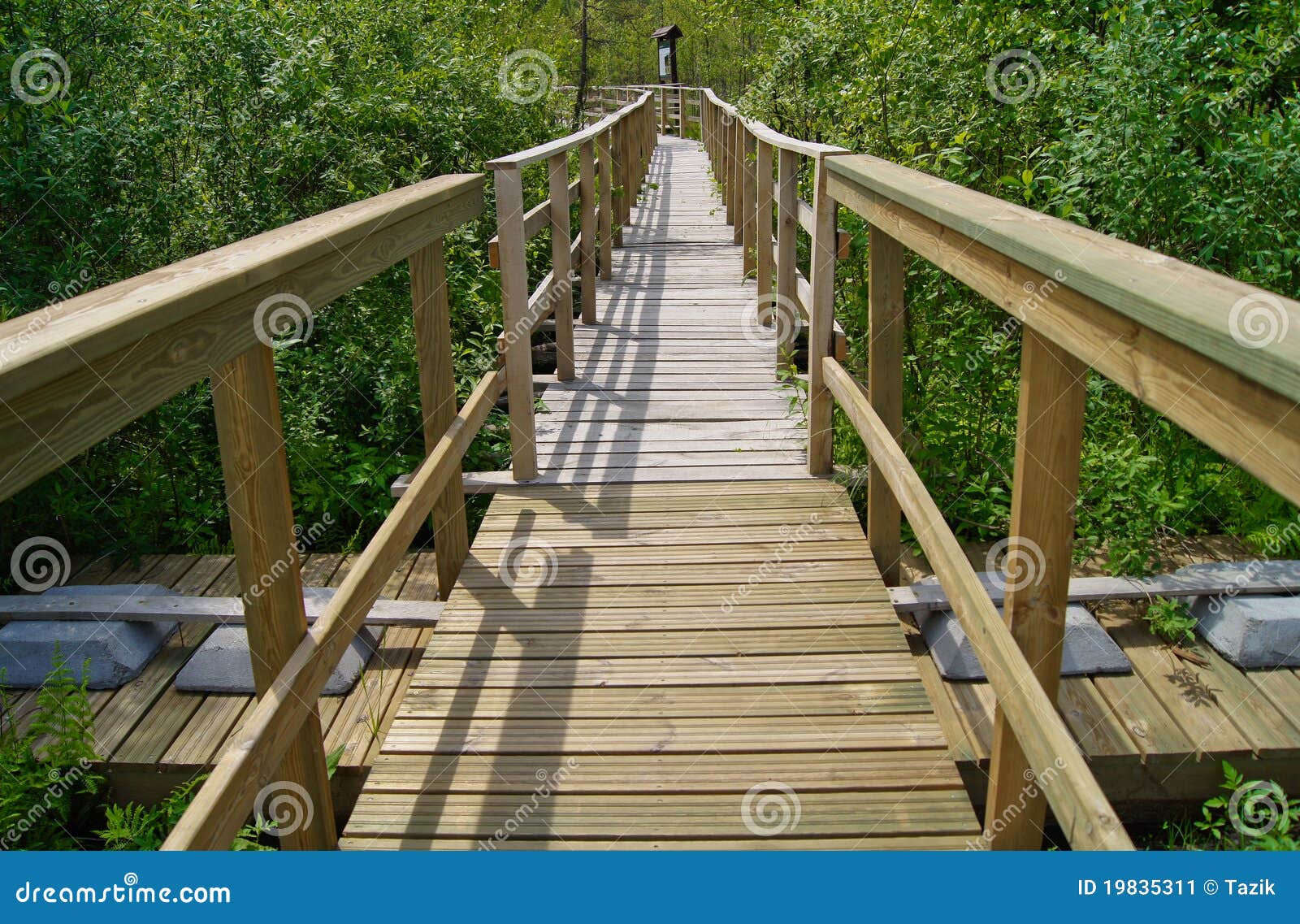 Educational nature path stock image. Image of plants - 19835311