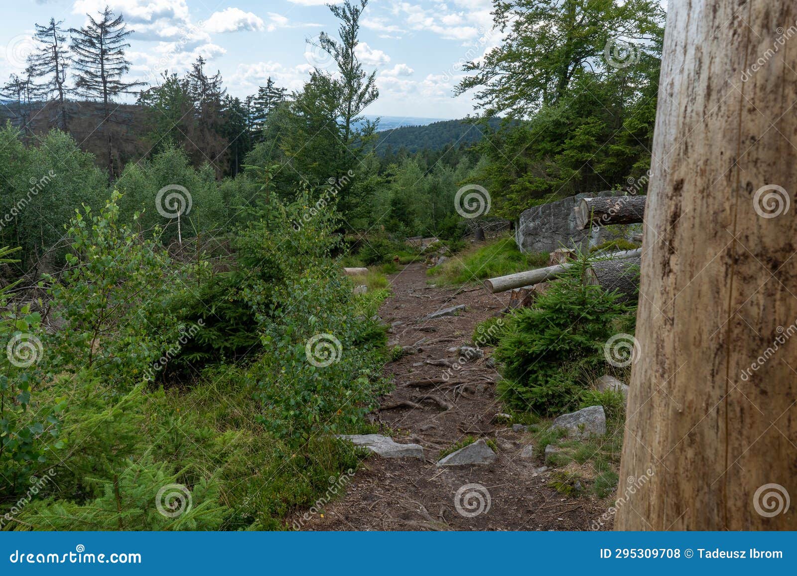 Educational path stock photo. Image of people, gory - 295309708