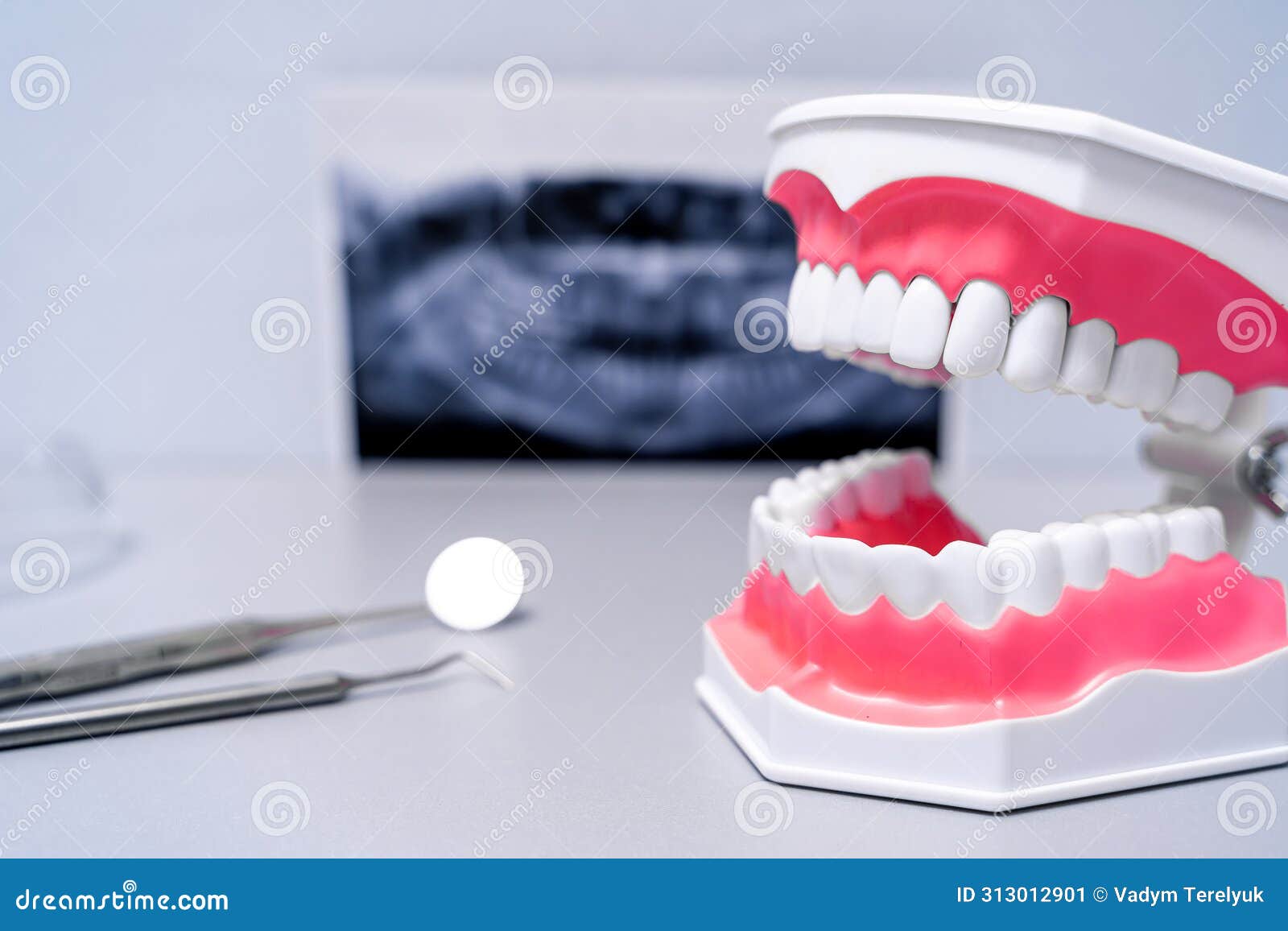 Educational Teeth Model and Dentist Mirror Instrument. X-ray in the ...