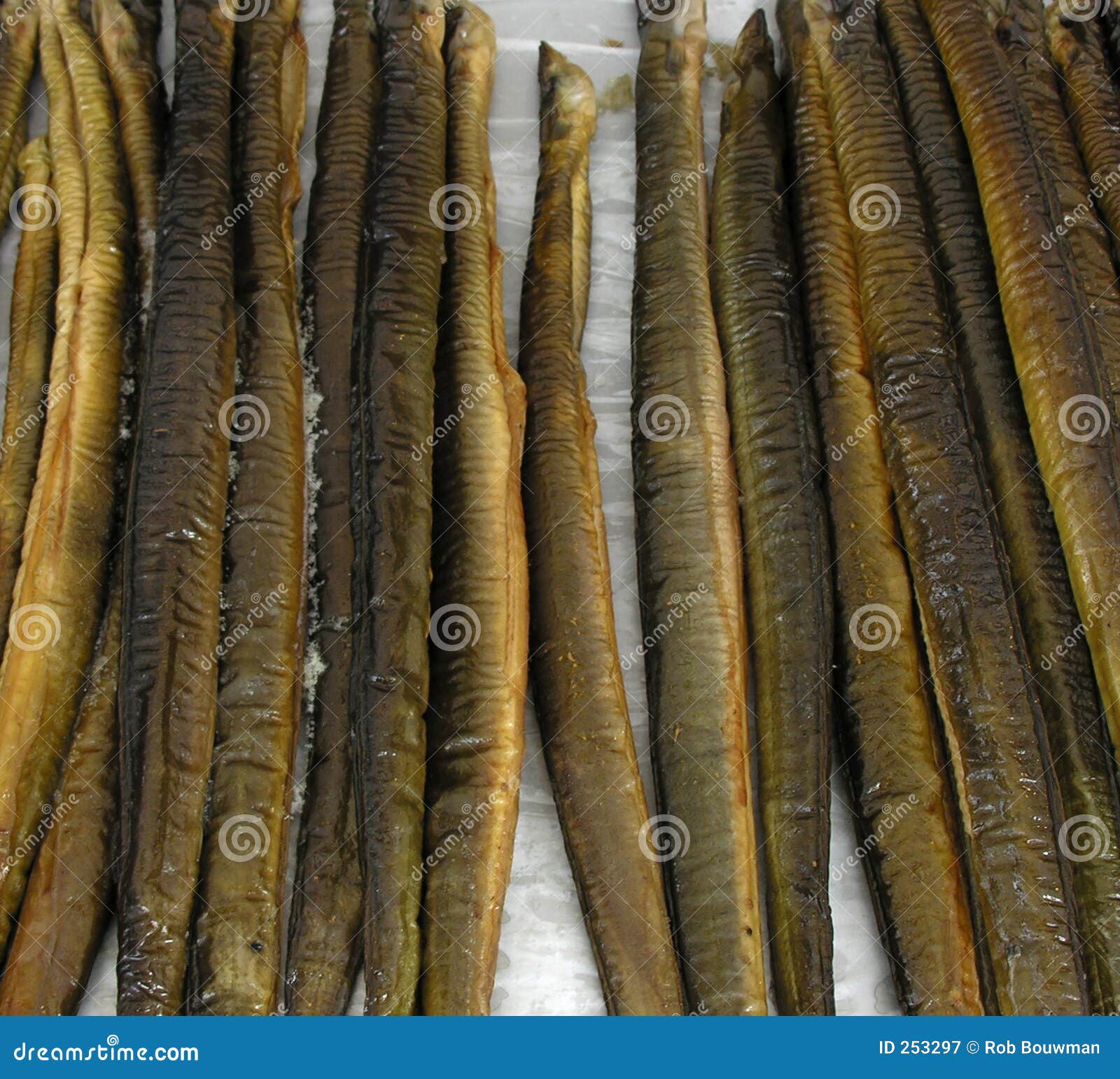 Eel stock image. Image of purchasing, food, catch, trade - 253297