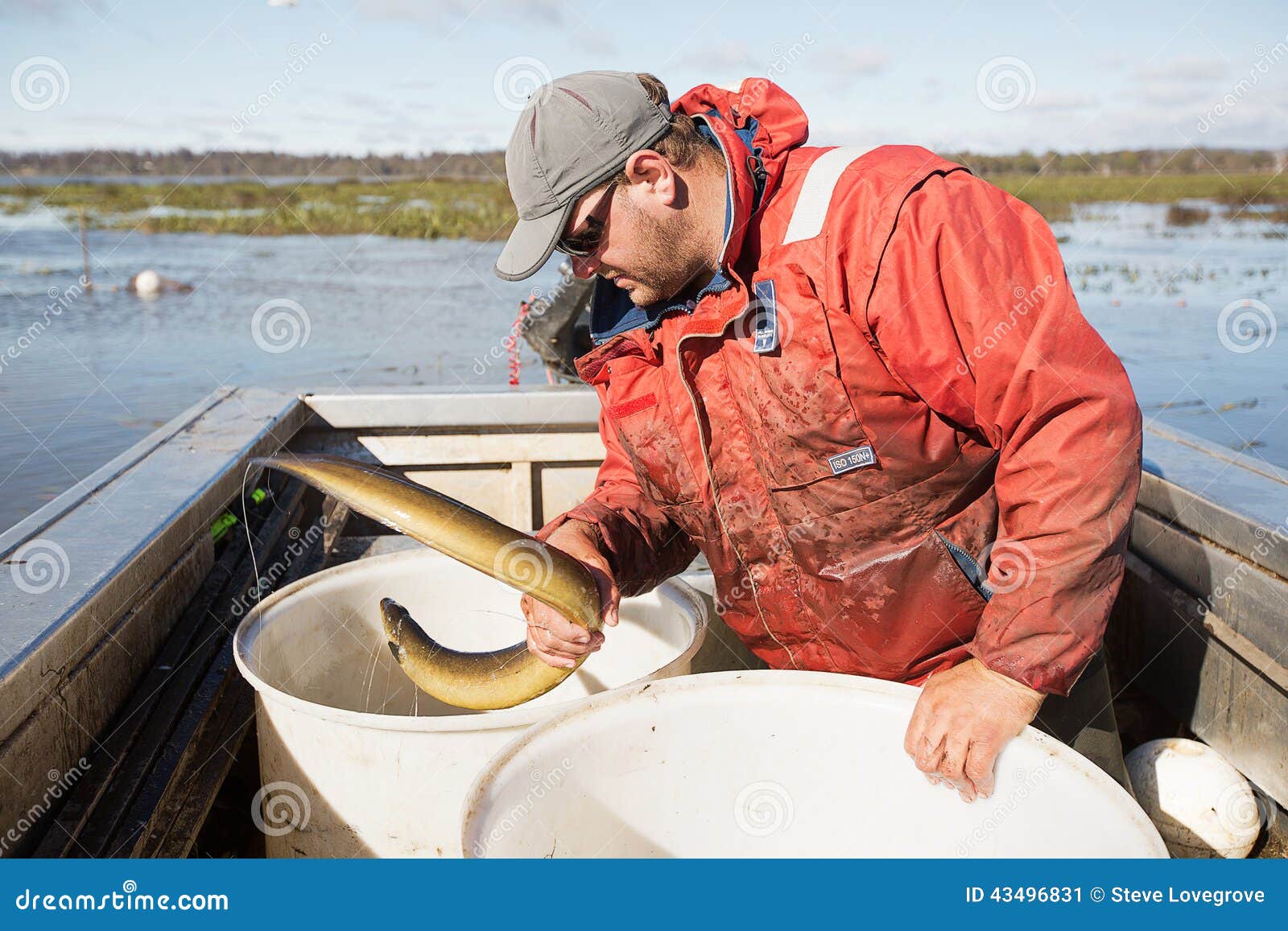 Eel Fisherman stock image. Image of dinghy, fishing, outboard - 43496831