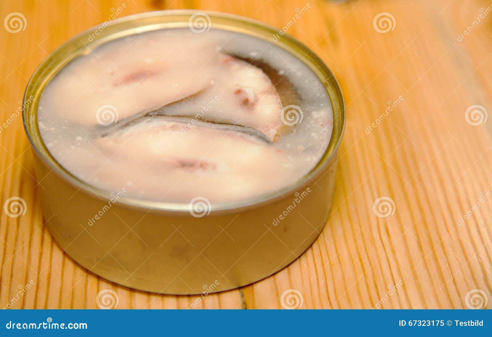 Eel in jelly in a tin stock image. Image of ocean, baltic - 67323175