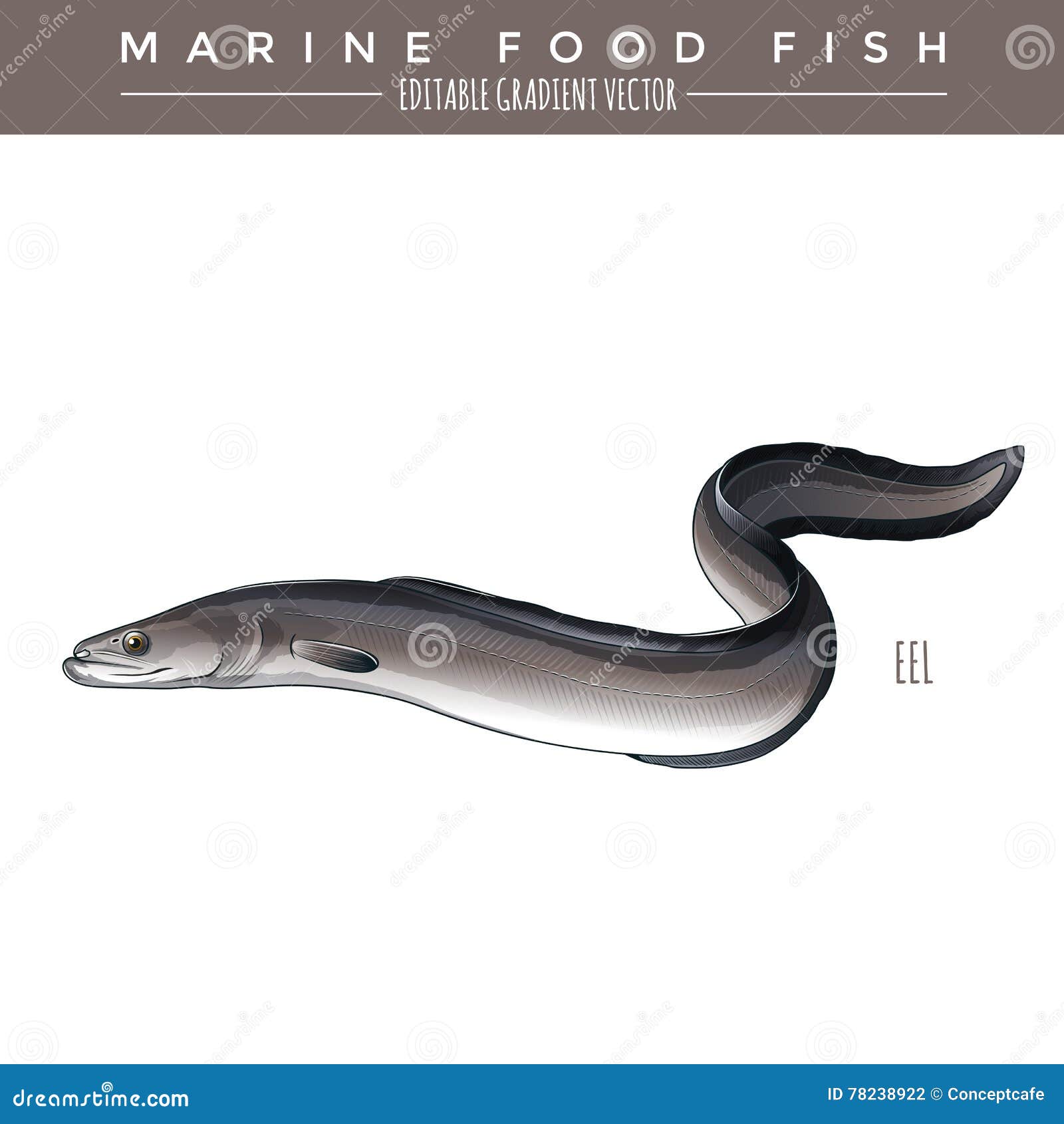 Marine Food Chain. Vector Illustration Of Food Chain In Ocean ...