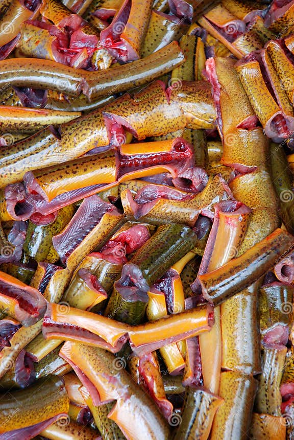 The eel meat stock photo. Image of food, shops, health - 3716846