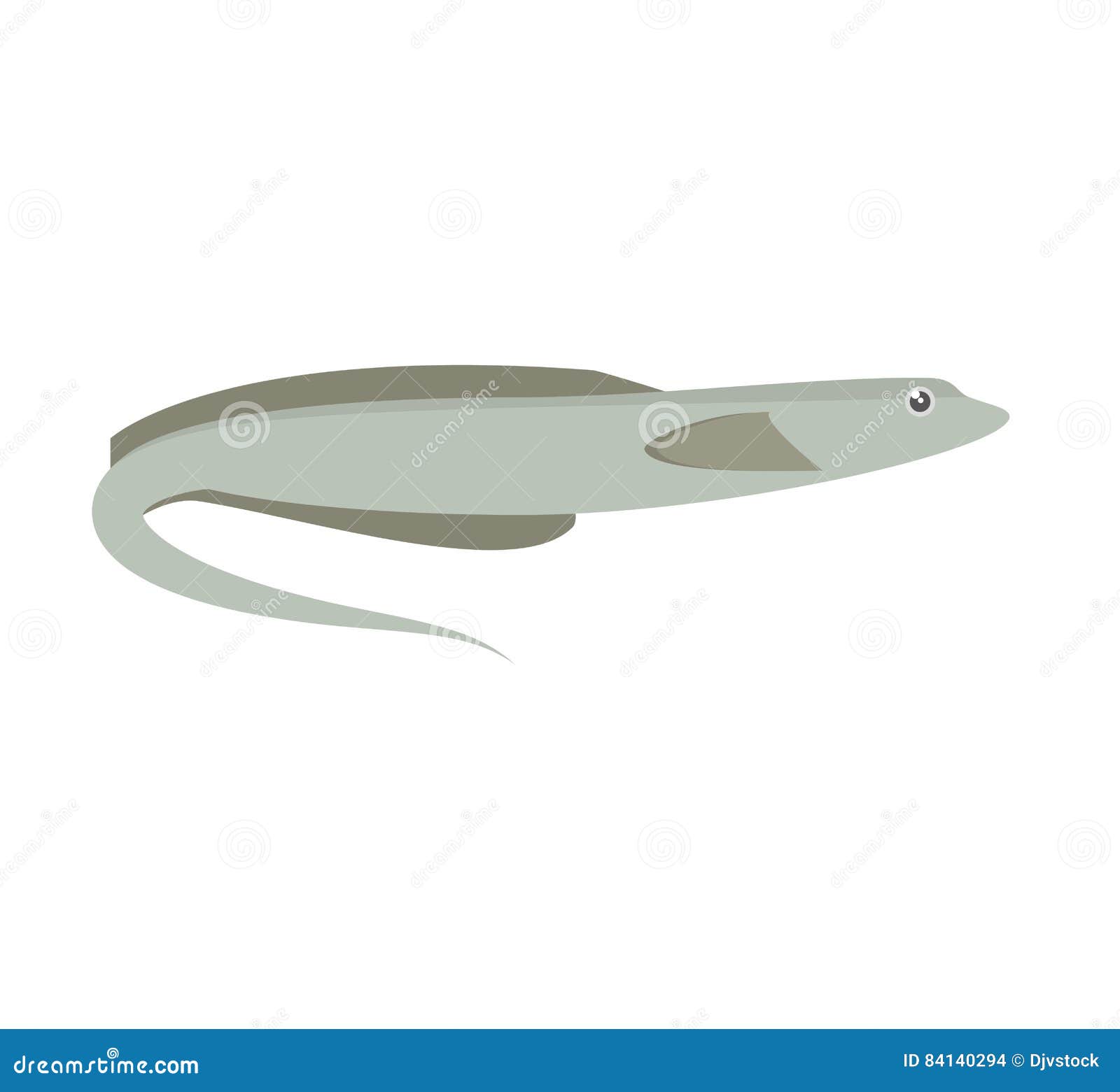 Moray Eel Fish Vector Illustration Transparent Background ...