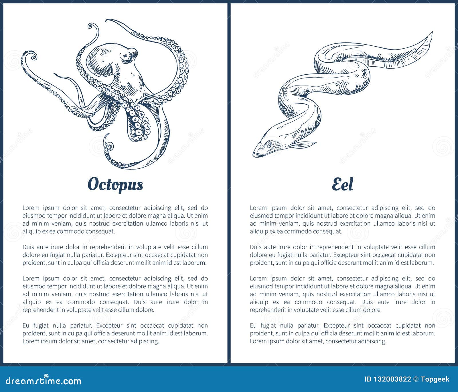 Eel and Octopus Hand Drawn Vector Illustration Stock Vector ...