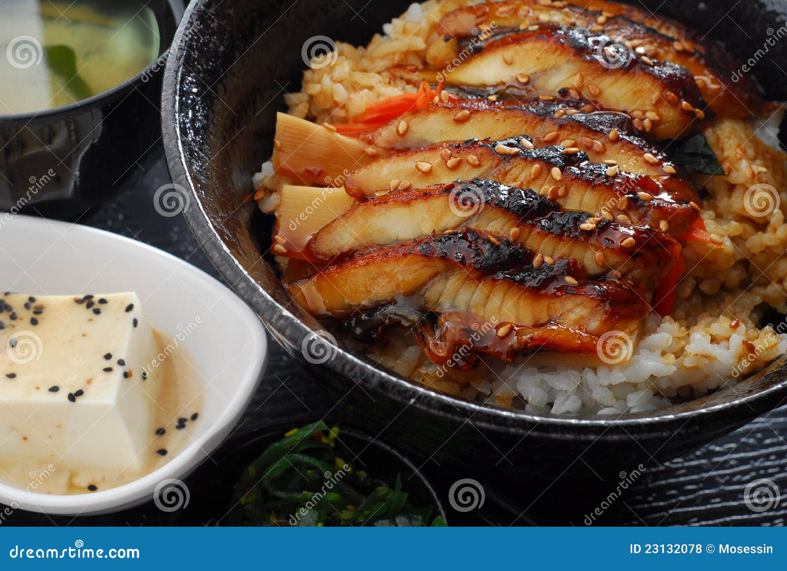 Eel rice stock photo. Image of fish, cuisine, style, japan - 23132078