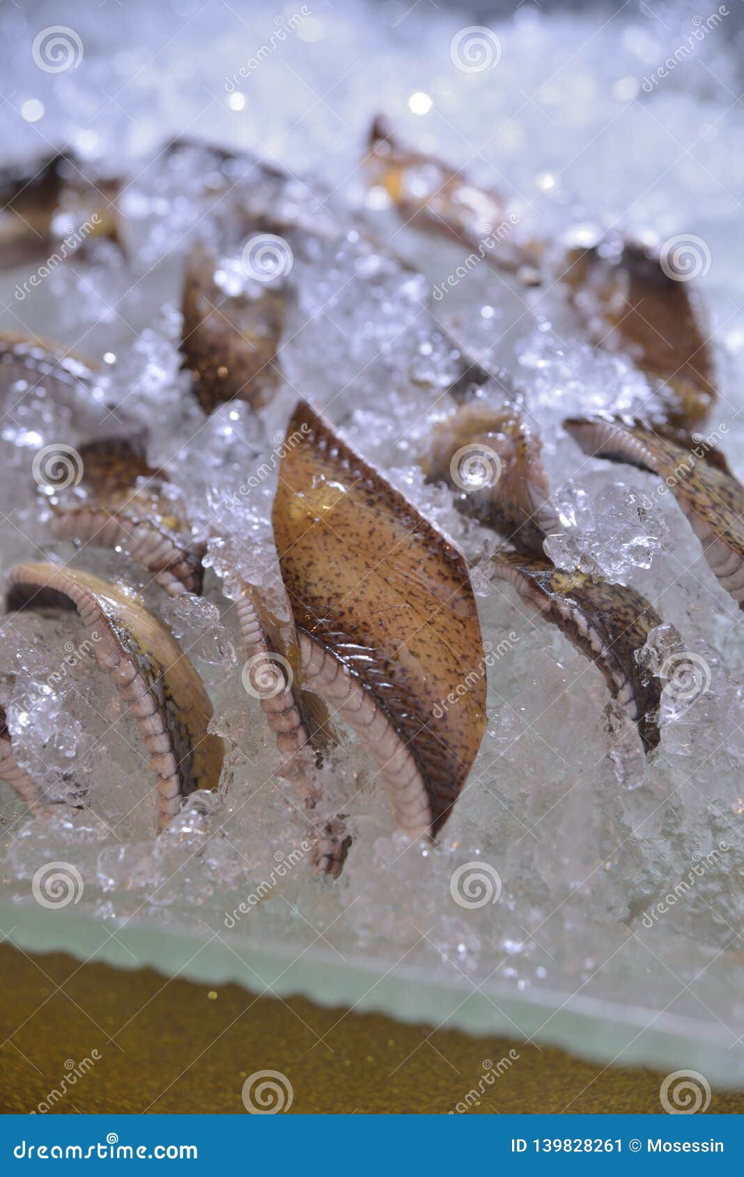 Eel sushi in ice cube stock image. Image of cube, crispy - 139828261