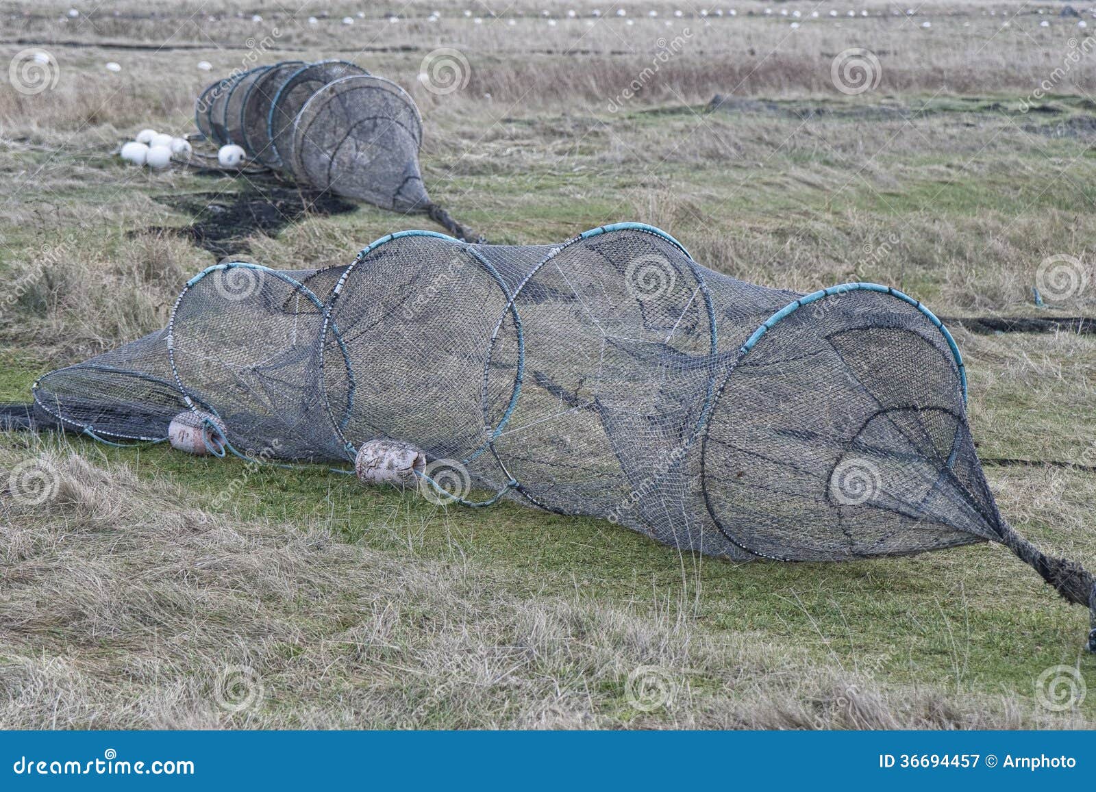 Eel Traps stock image. Image of buck, fishing, color - 36694457