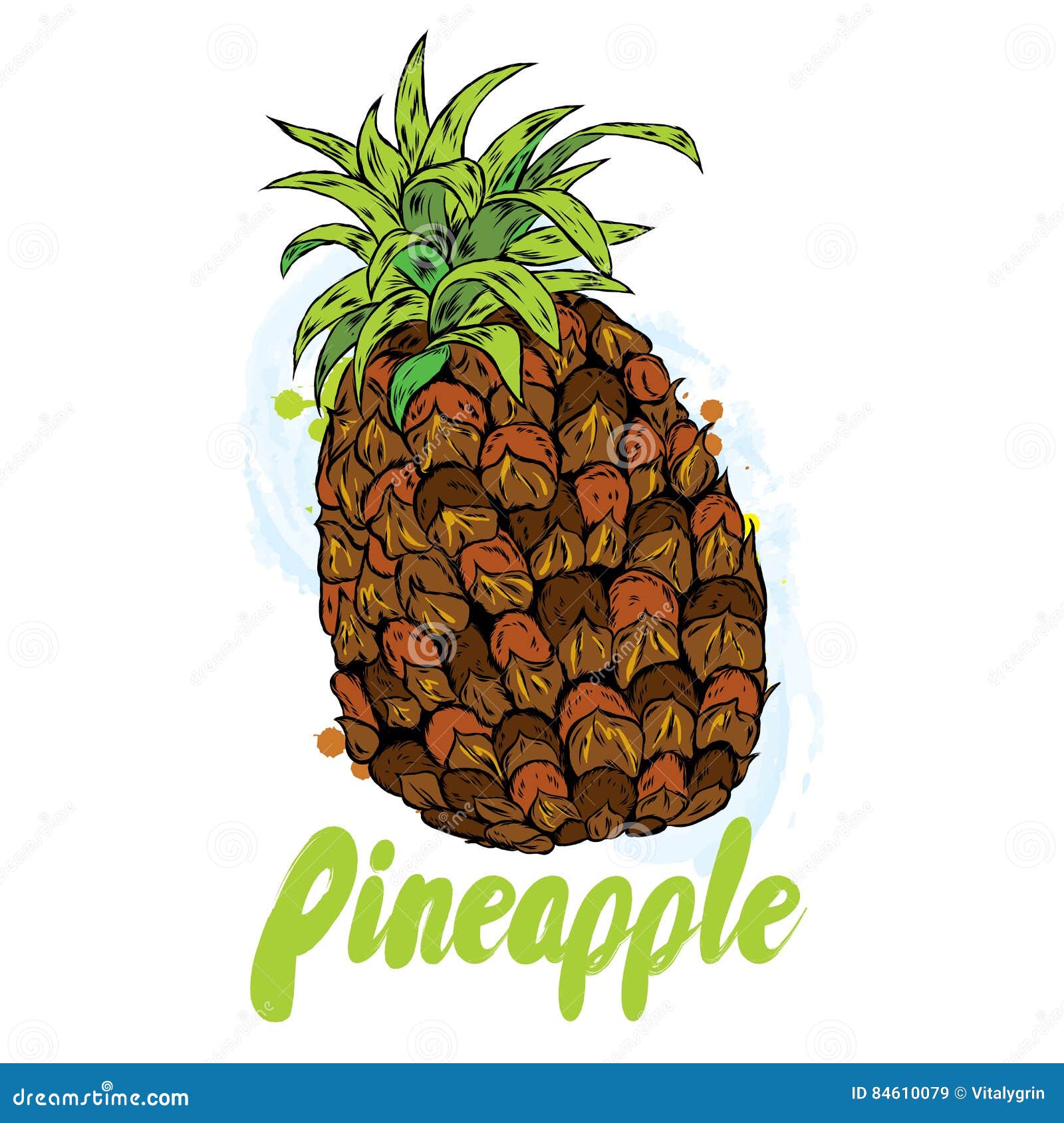 Een Ananas Vector Illustratie Vector Illustratie - Illustration of ...