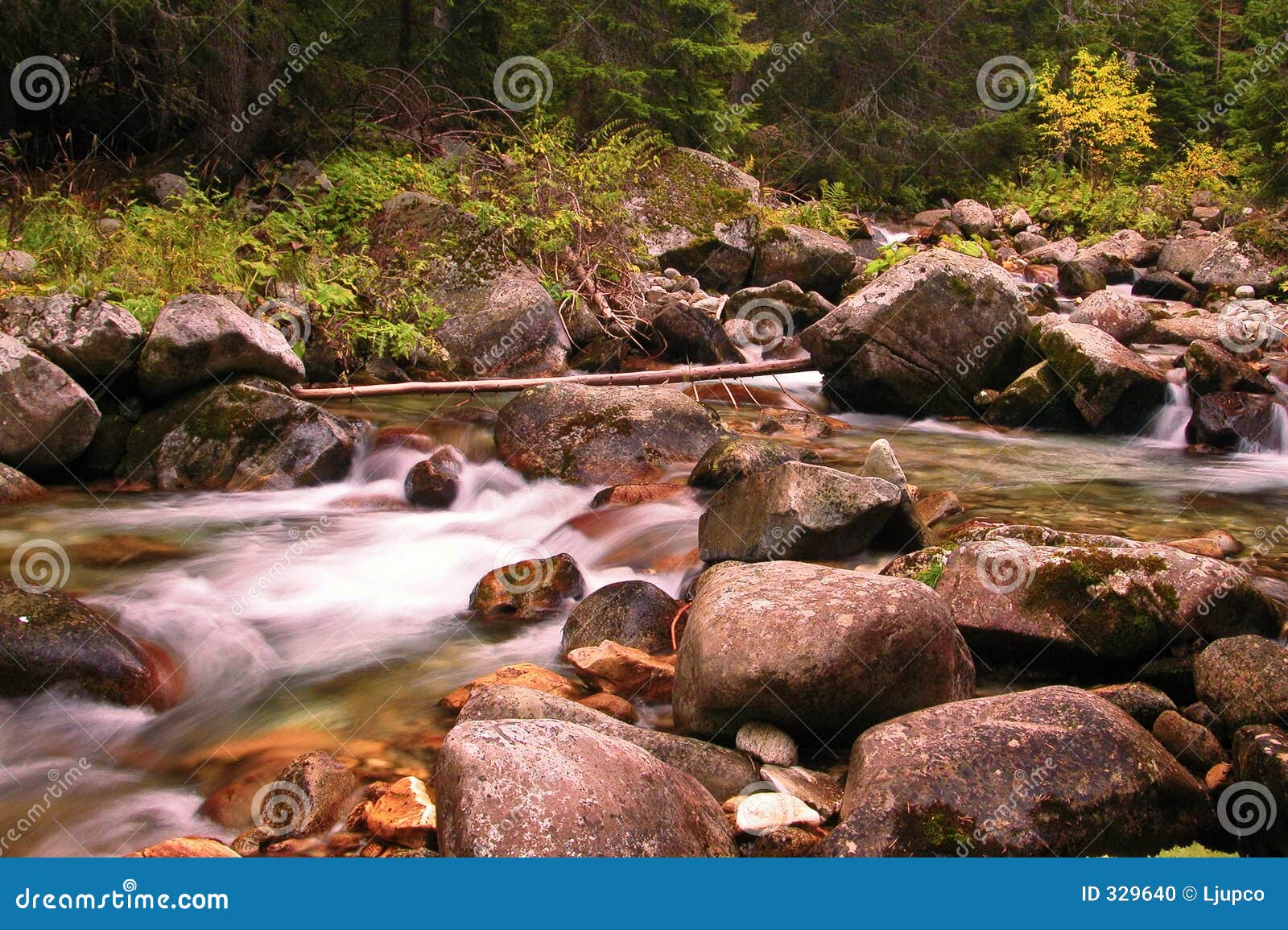 Een beek in het bos stock foto. Image of park, blad, najaar - 329640