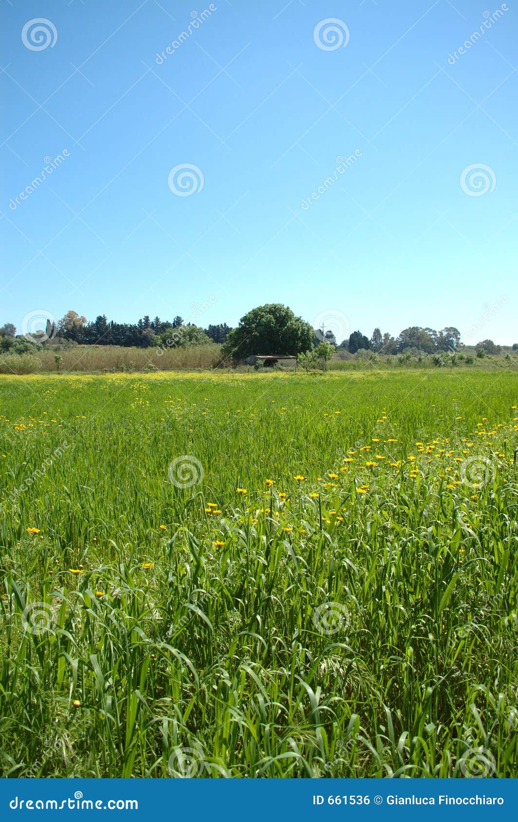 Een De Lentedag Picture. Image: 661536