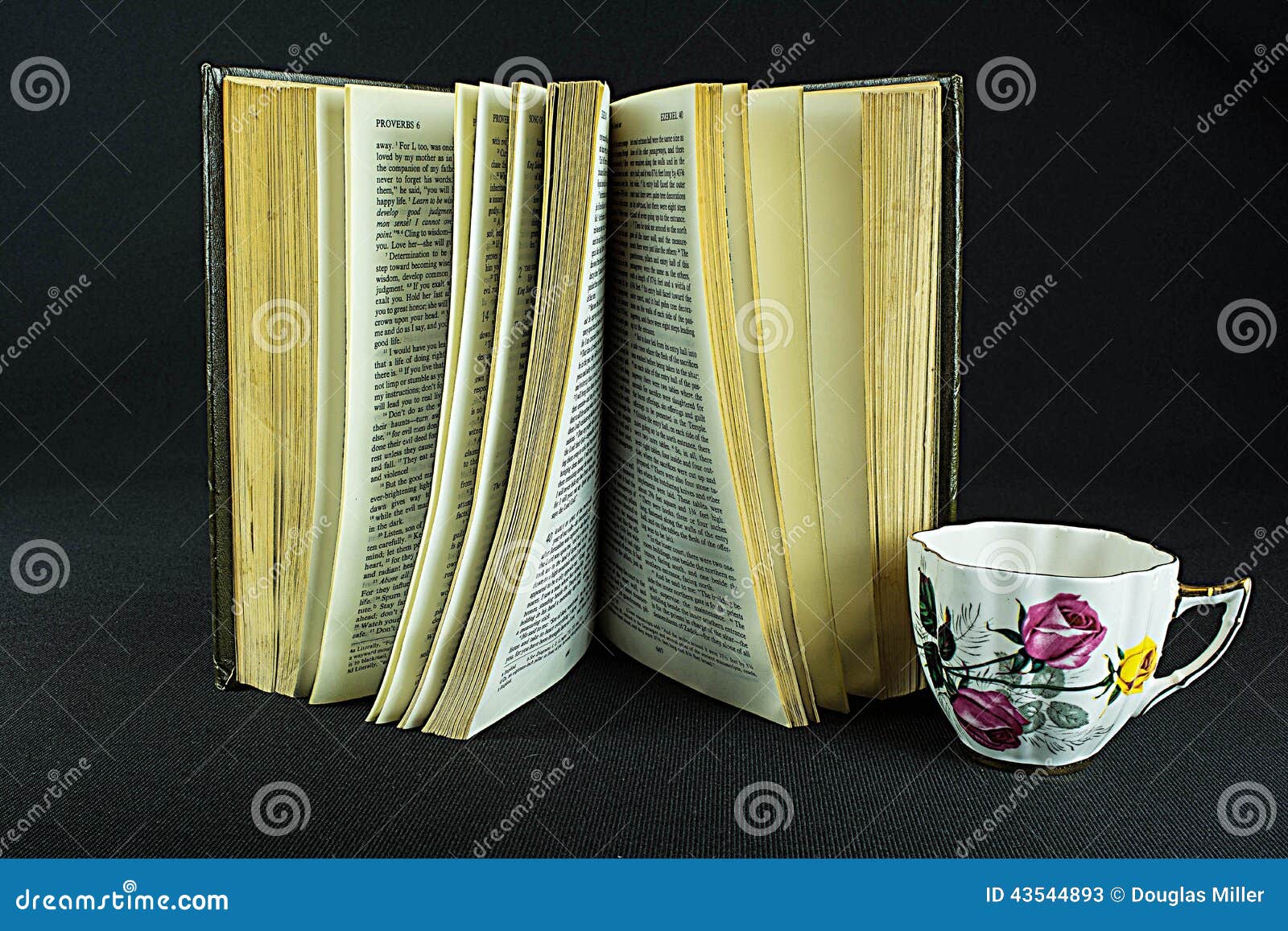 Een goed Boek stock afbeelding. Image of tekst, wijnoogst - 43544893