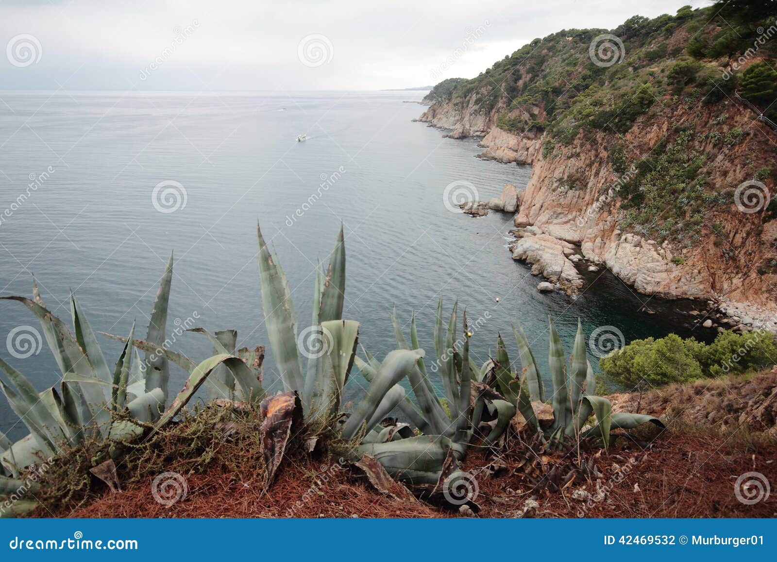 Een Inham in Zuidelijk Spanje Stock Foto - Image of zacht, warm: 42469532