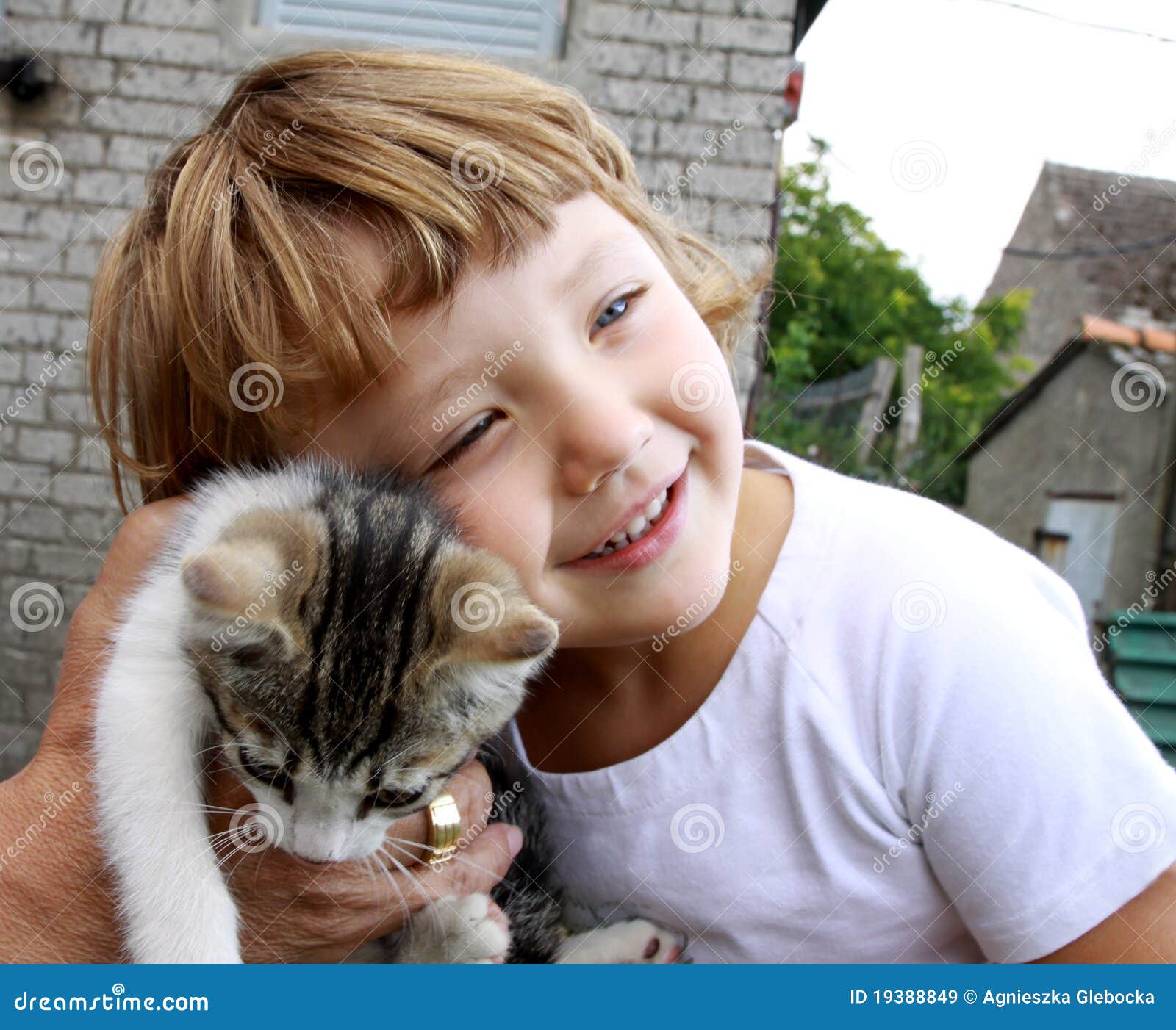 Een Klein Kind Dat Een Katje Koestert Stock Afbeelding - Image of ...