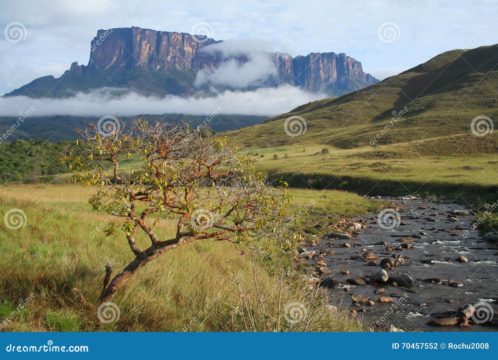 Een Mening Van De Roraima-Berg in Venezuela Stock Foto - Image of wild ...