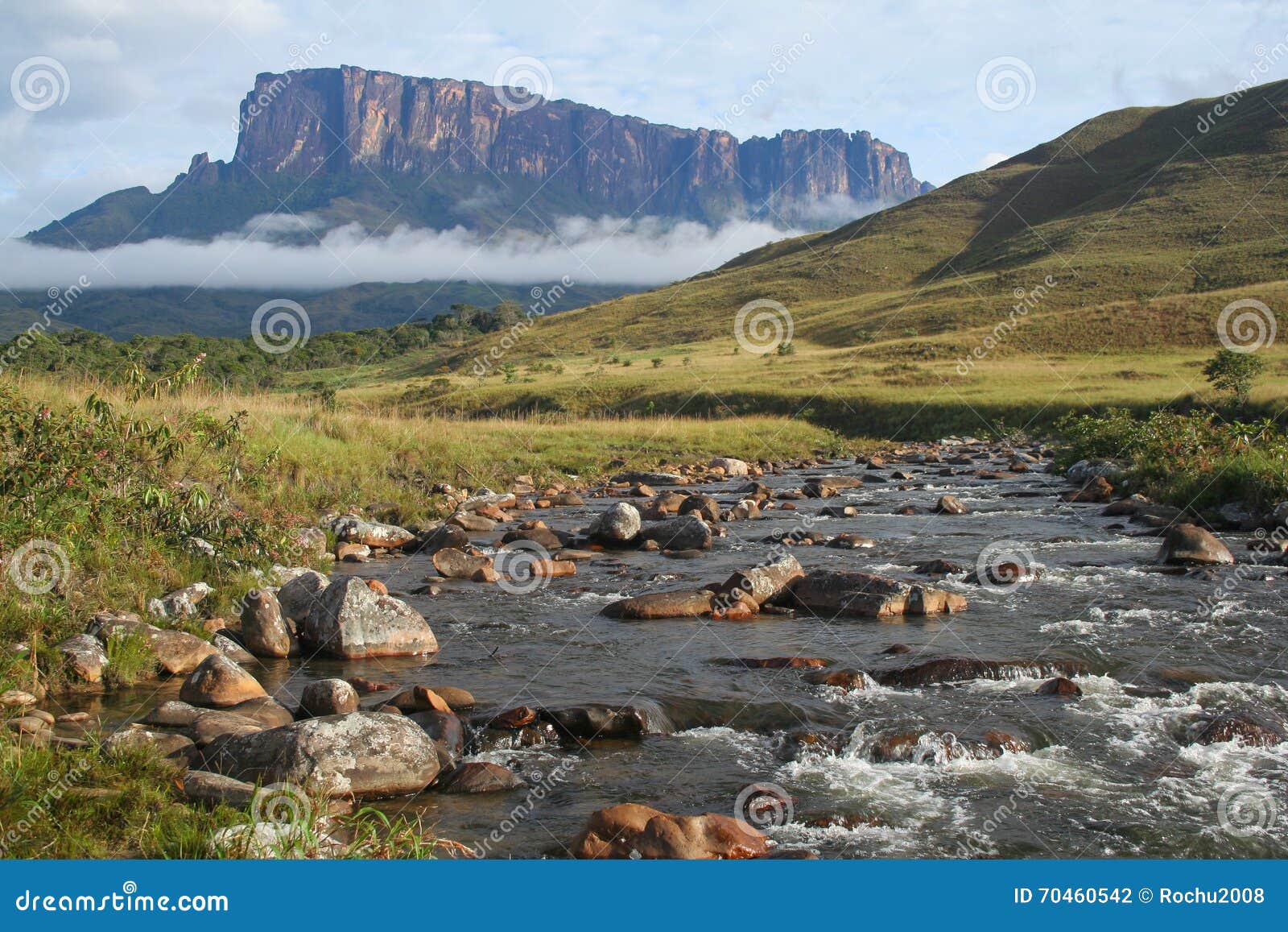 Een Mening Van De Roraima-Berg in Venezuela Stock Foto - Image of wild ...