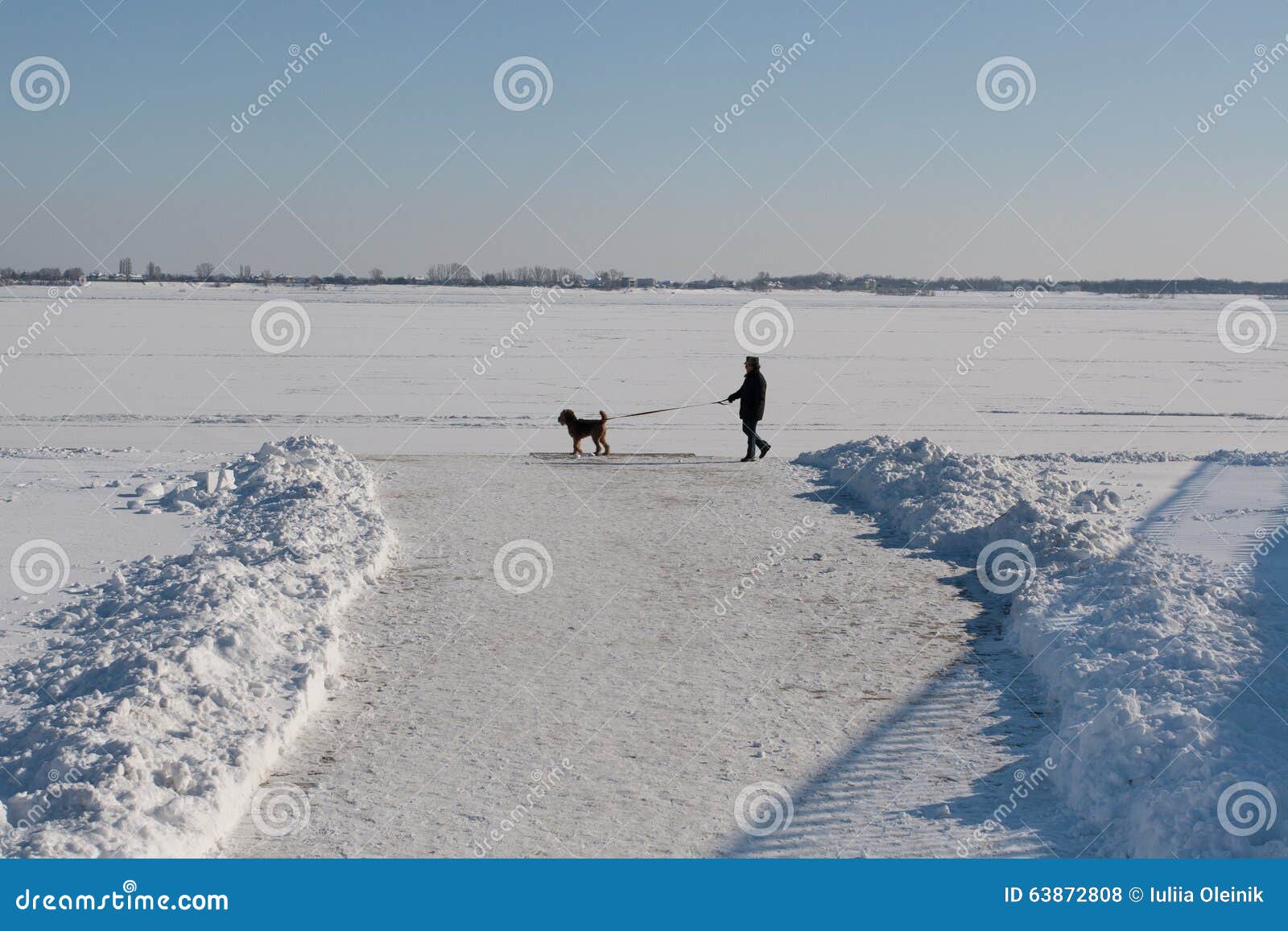 Een Mens Die Met De Hond Lopen Stock Foto - Image of airedale, dier ...