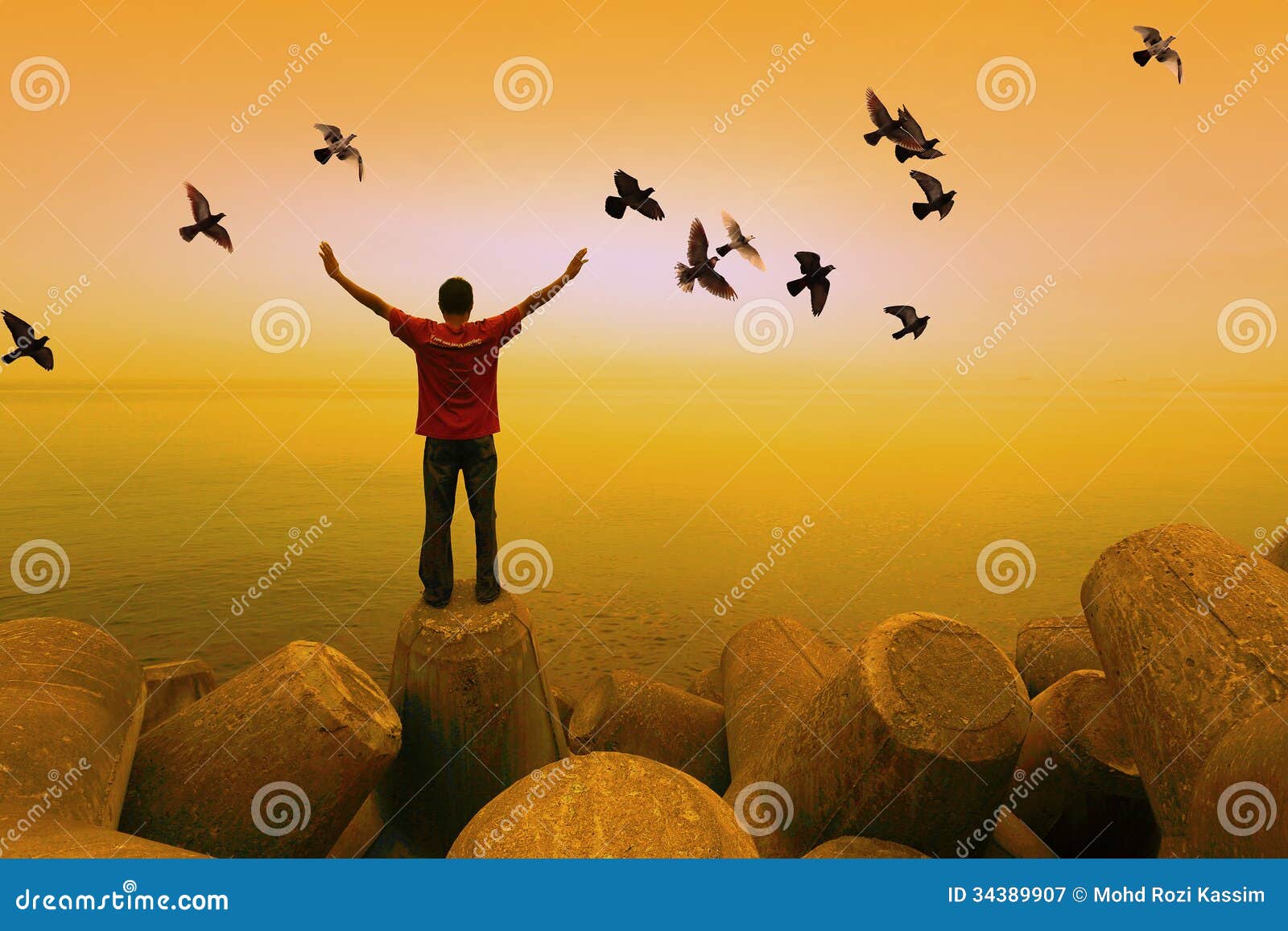 Een Mens Met Vogels Het Vliegen Stock Afbeelding - Image of kleur, geel ...