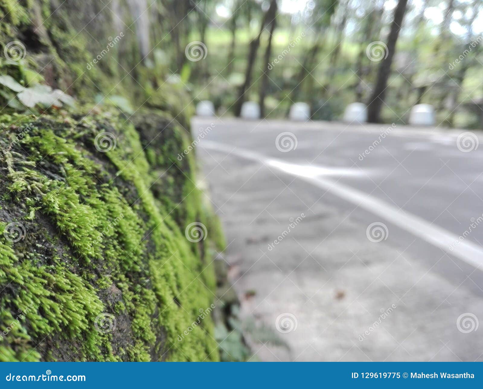 Een Natuurlijk Groen Visie Echt Beeld Stock Afbeelding - Image of koel ...