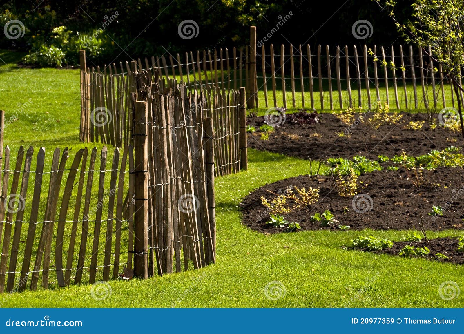 Een omheining in een tuin stock afbeelding. Image of engeland - 20977359