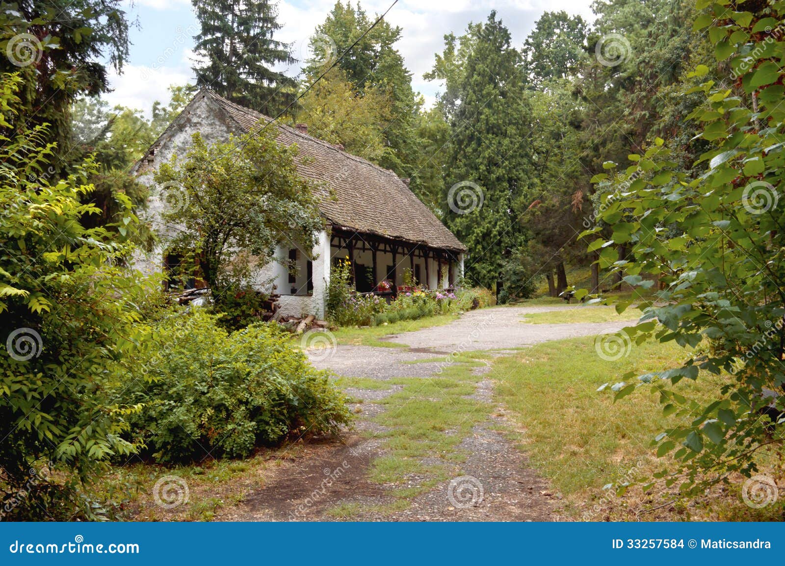 Een oud huis in een bos stock foto. Image of huis, klimop - 33257584