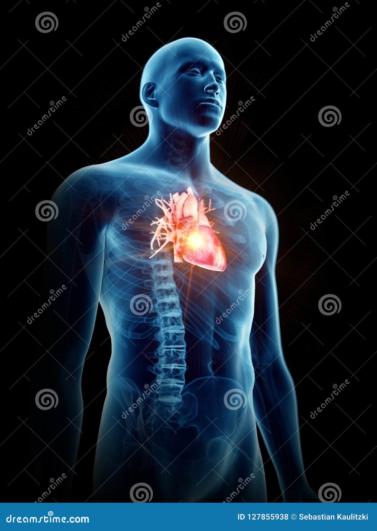 Een pijnlijk hart stock illustratie. Illustration of cardiologie ...