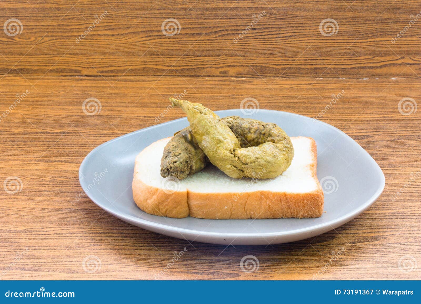 Een Poo Op Het Vuile Voedsel Van Het Broodconcept Stock Afbeelding ...