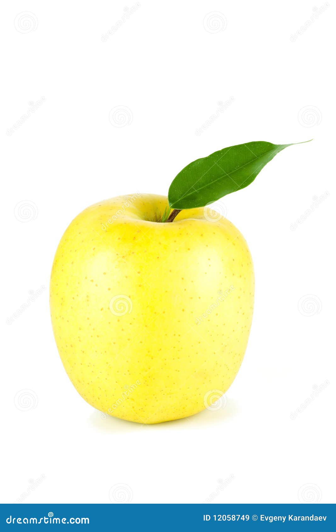 Een Rijpe Gele Appel Met Blad Stock Afbeelding - Image of enkelvoudig ...