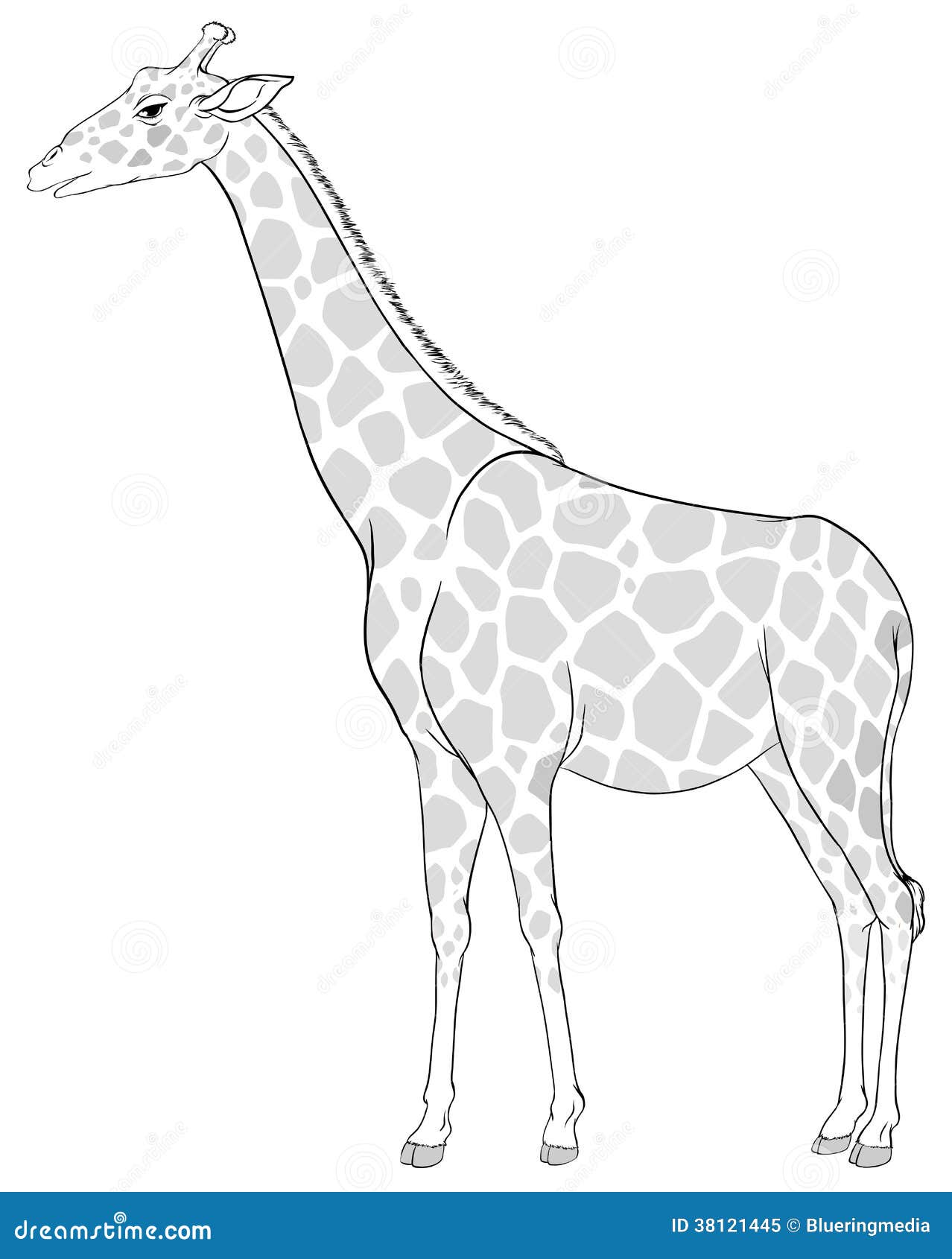 Een schets van een giraf vector illustratie. Illustration of langste ...