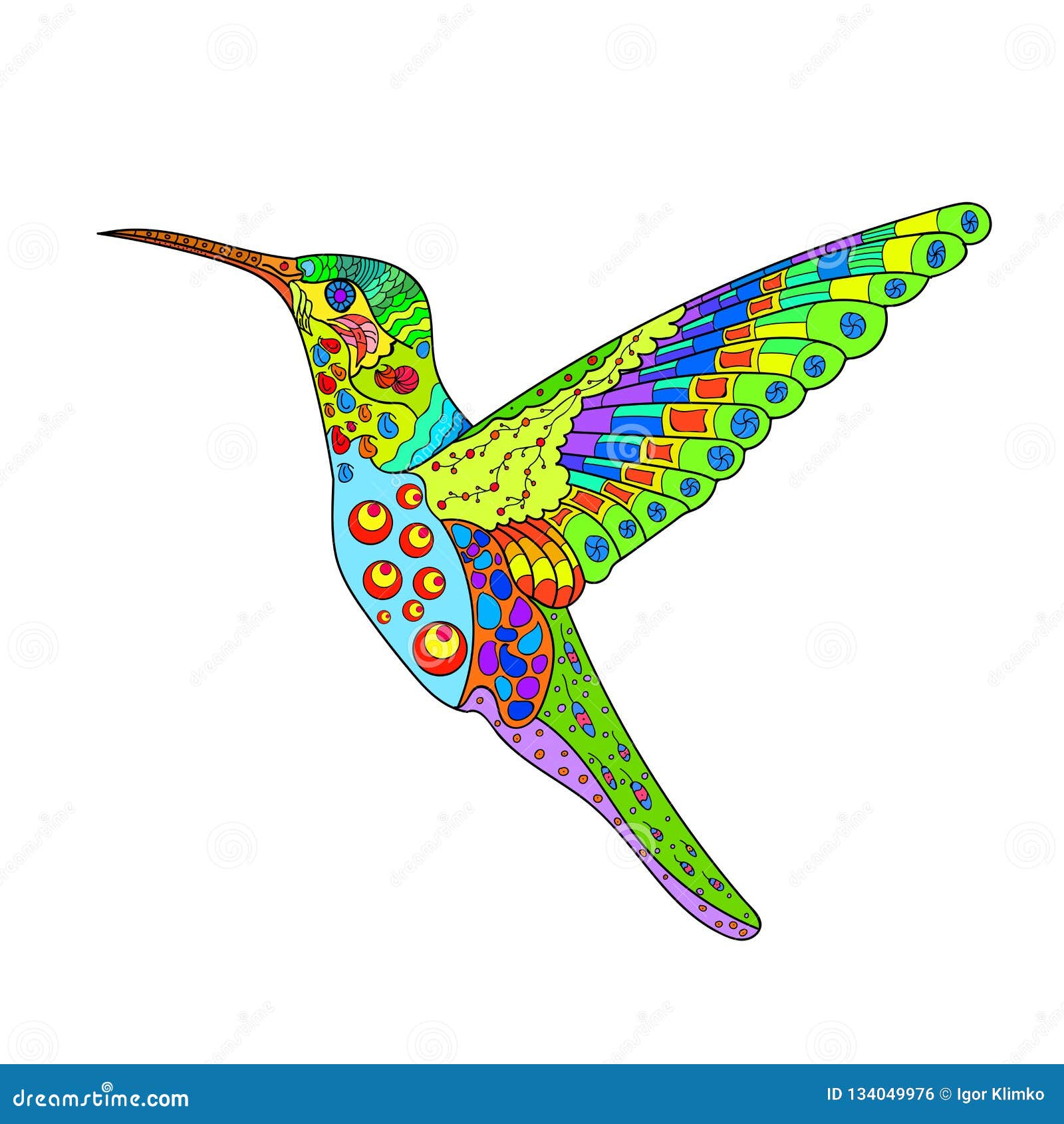 Een Vector Kleurrijke Levendige Kolibrie Vector Illustratie ...