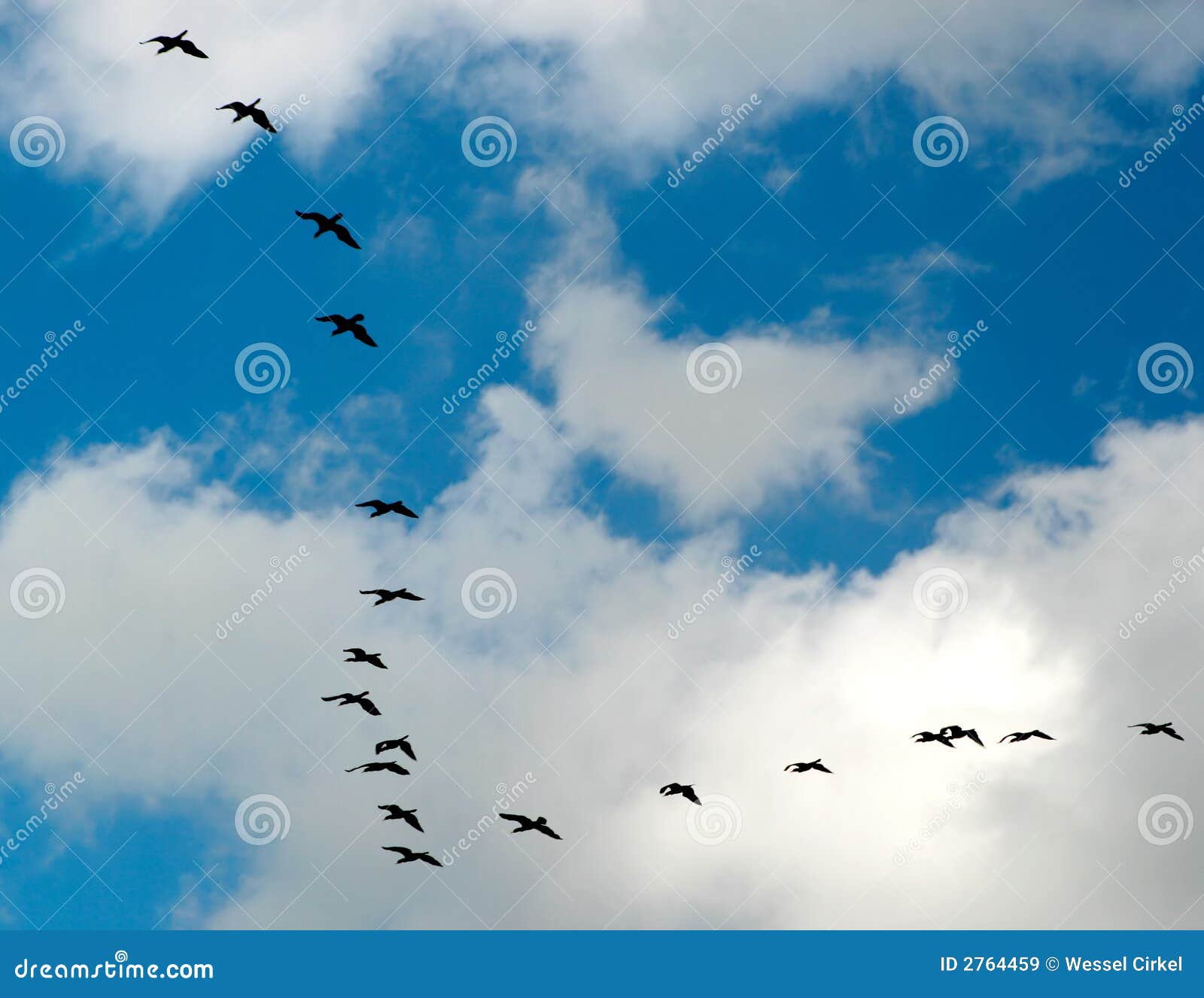 Een vlucht van ganzen stock afbeelding. Image of vorming - 2764459