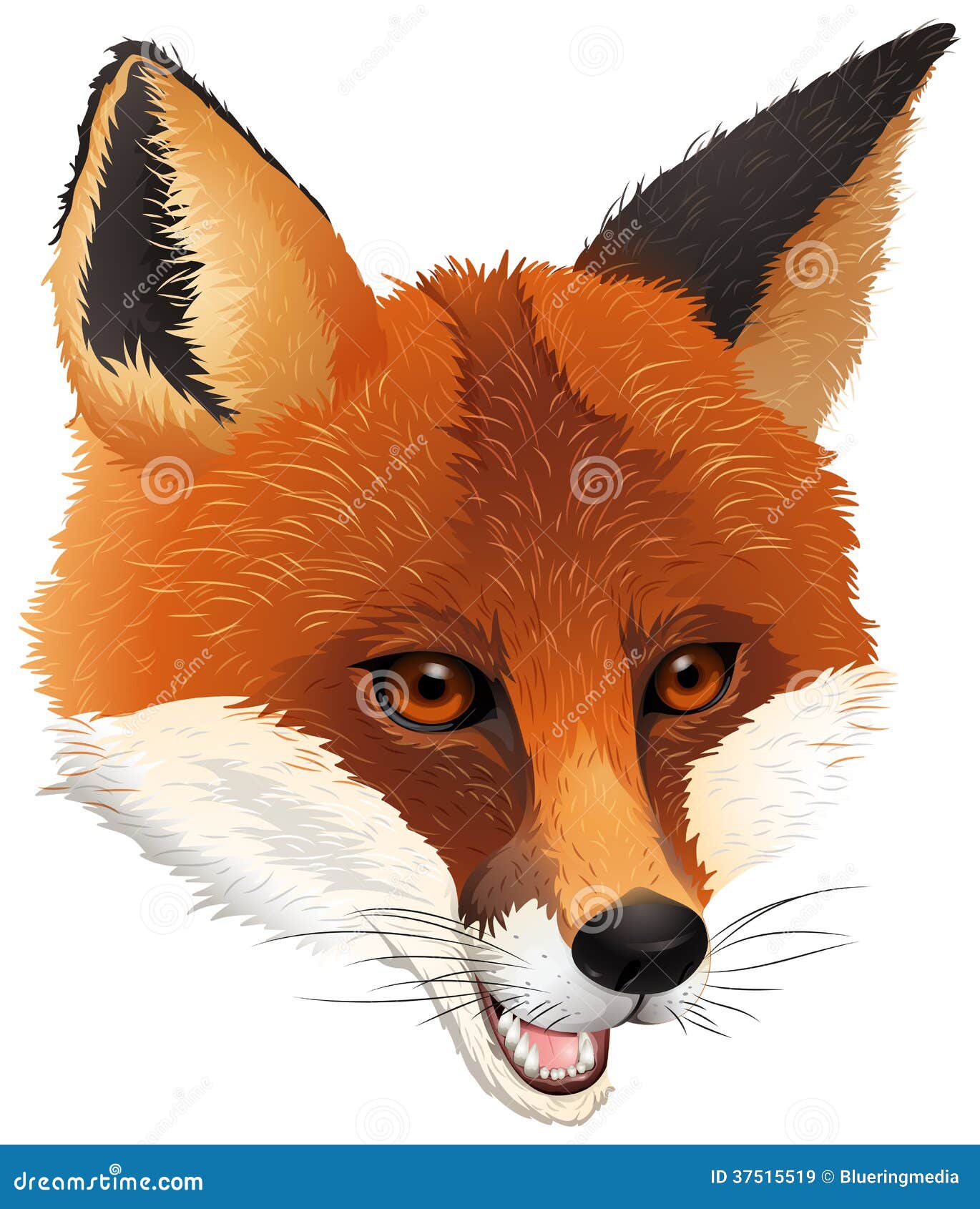 Een vos vector illustratie. Illustration of jacht, allesetend - 37515519