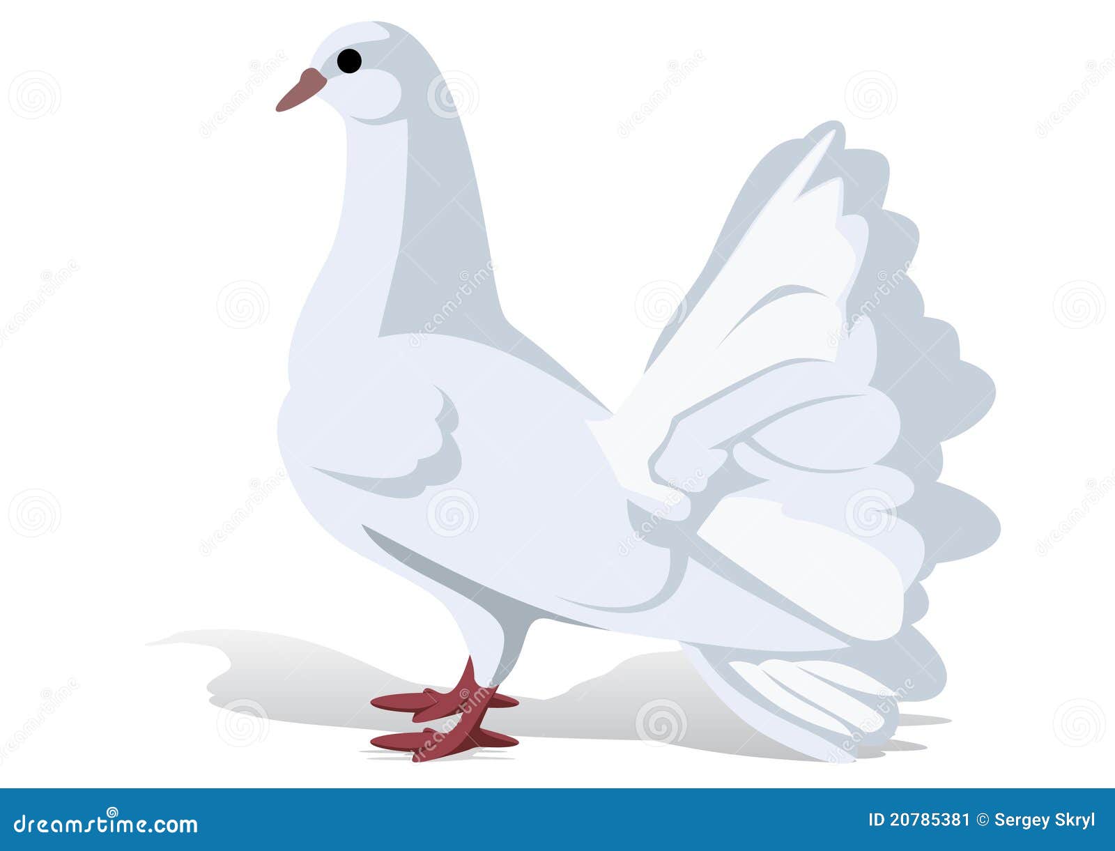 Een witte duif vector illustratie. Illustration of illustratie - 20785381