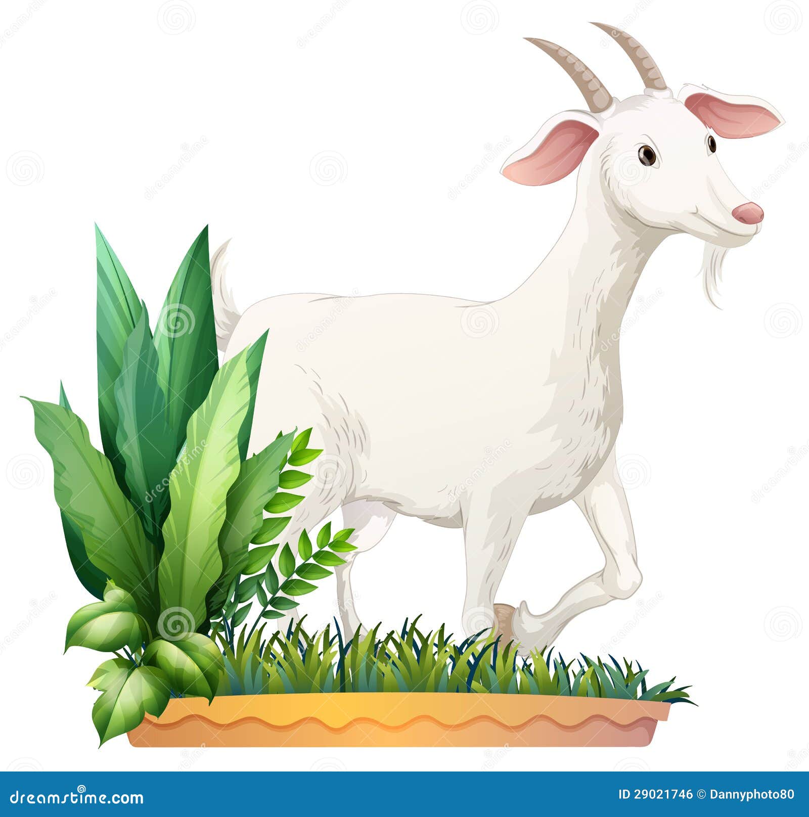 Een witte geit vector illustratie. Illustration of ogen - 29021746