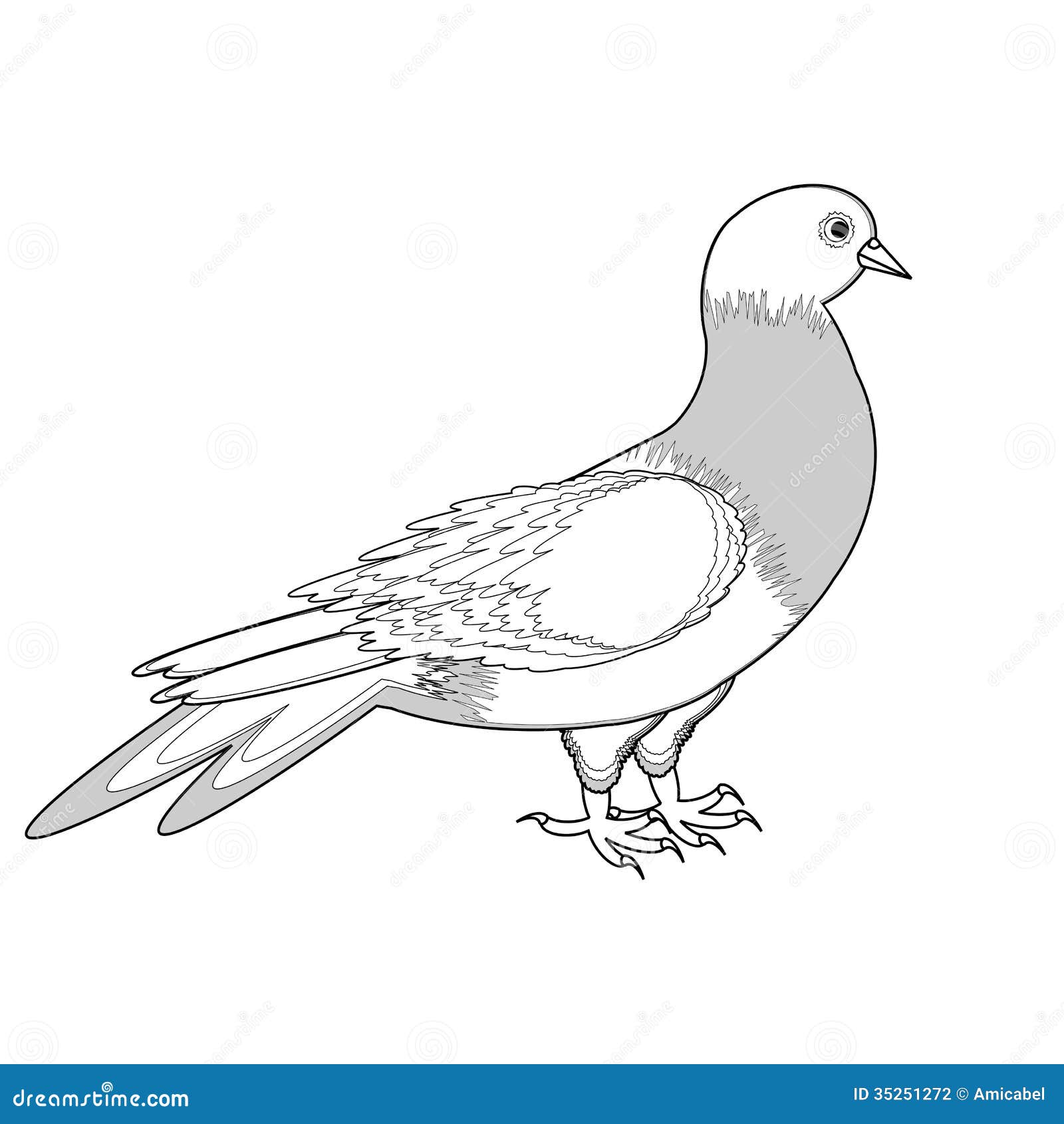 Een Zwart-wit Schets Van Een Duif Vector Illustratie - Illustration of ...