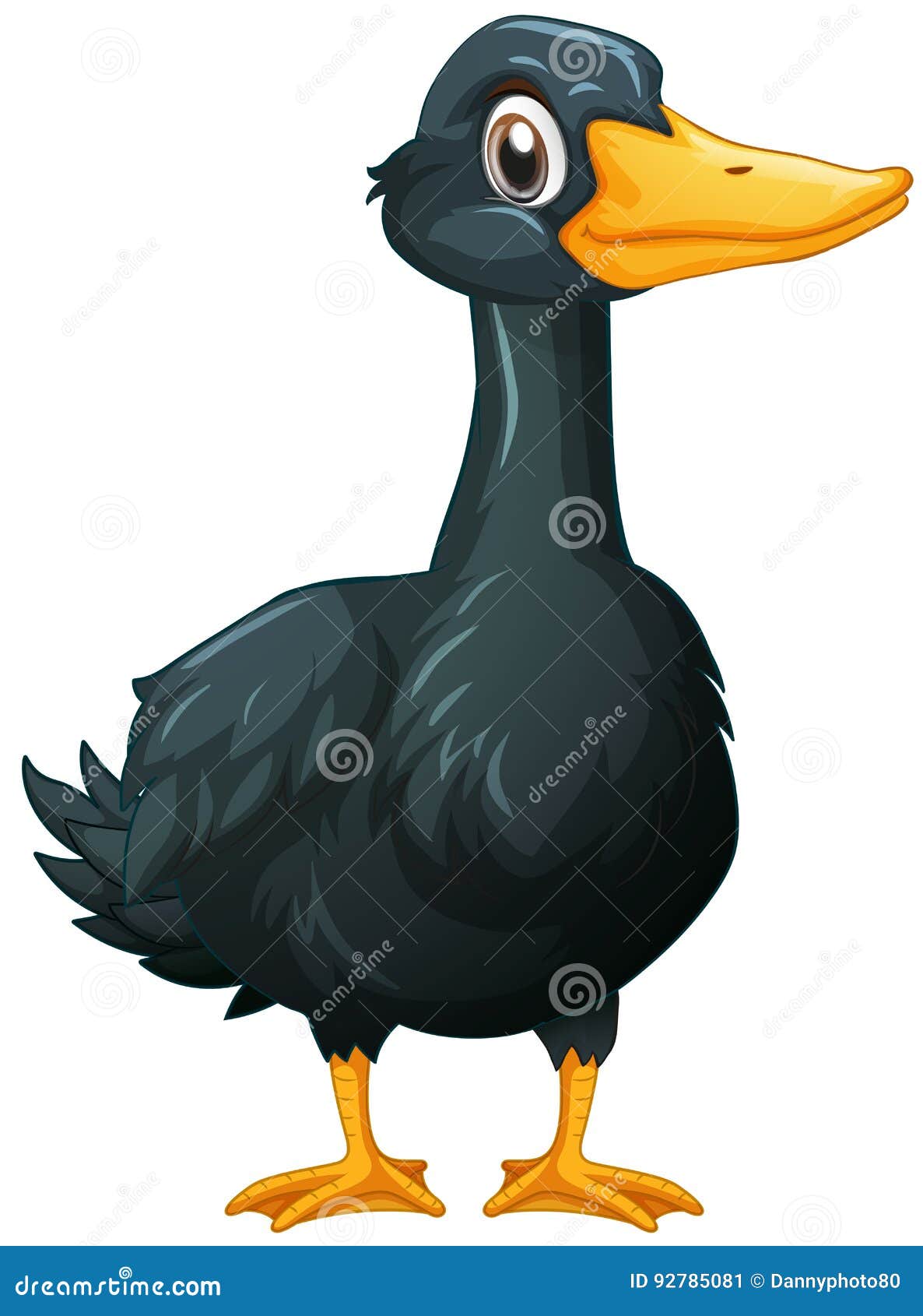 Eend met zwarte veer vector illustratie. Illustration of voorwerp ...