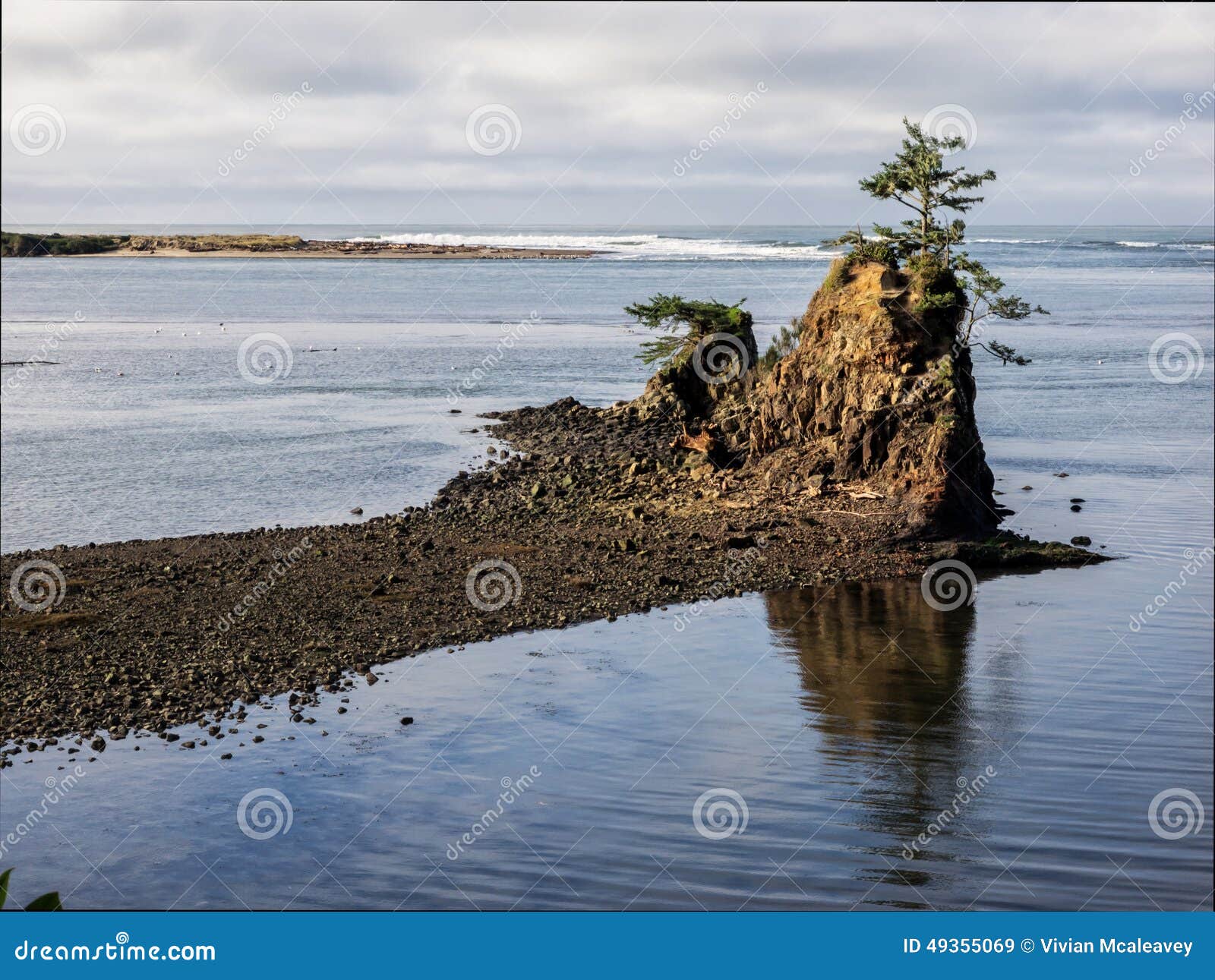 Eenzame Boom Op Rots Bij Kustbaai Stock Afbeelding - Image of vreedzaam ...