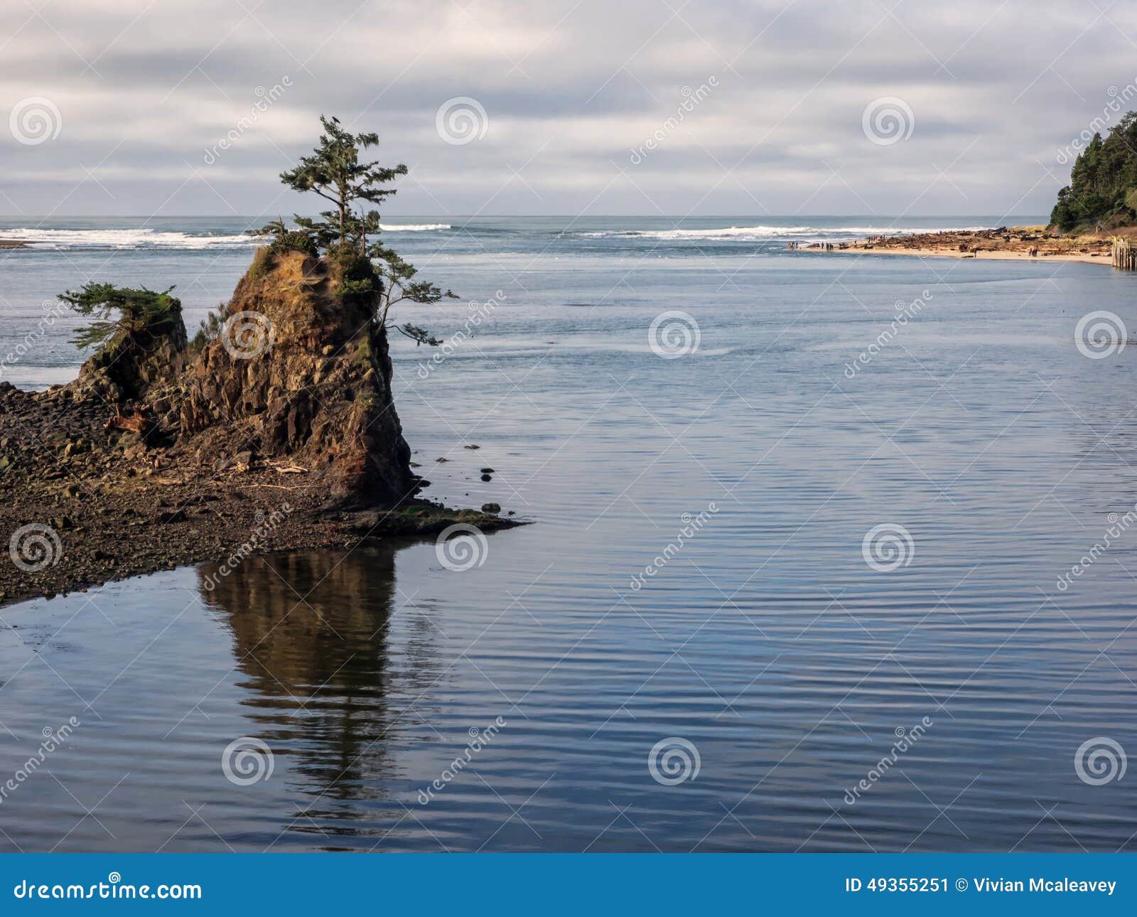 Eenzame Boom Op Rots Bij Kustbaai Stock Afbeelding - Image of oregon ...