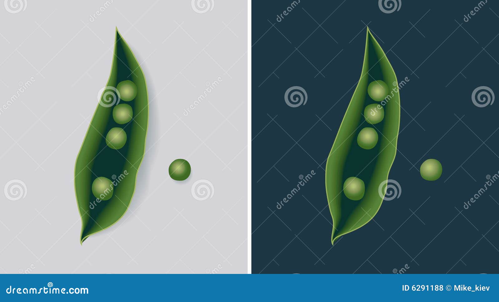 Eenzame erwt uit peul vector illustratie. Illustration of eenzaam - 6291188