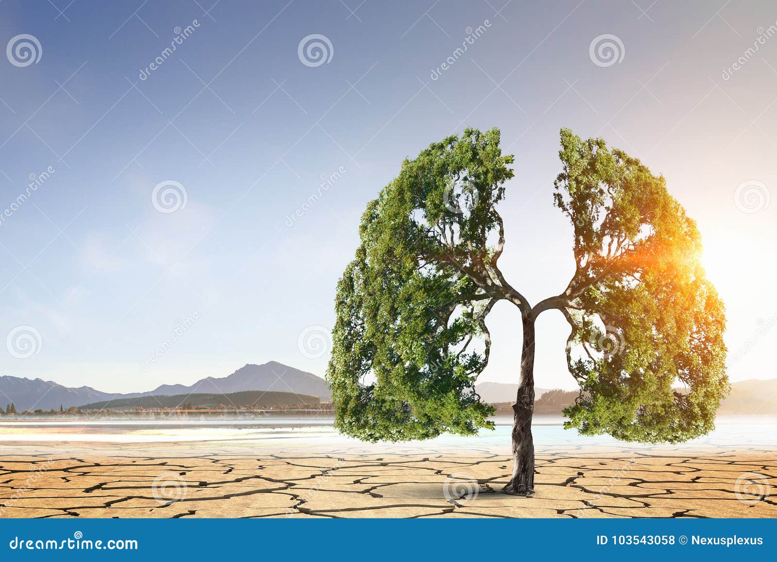 Eenzame Groene Boom in De Woestijn Stock Foto - Image of leeg, boom ...