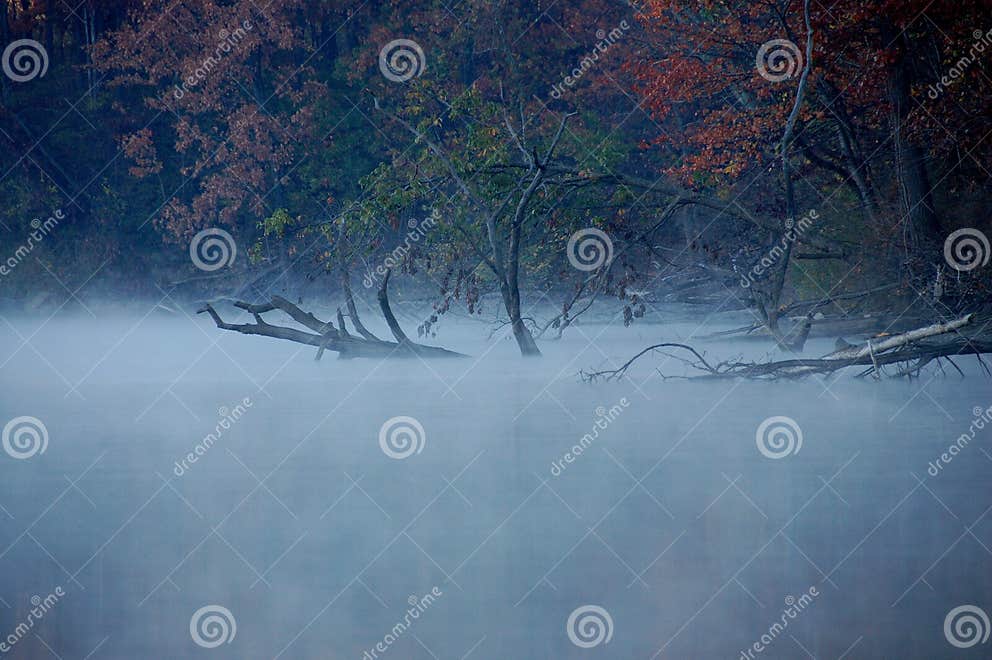 Eerie fog stock photo. Image of fallen, autumn, mist - 16538640