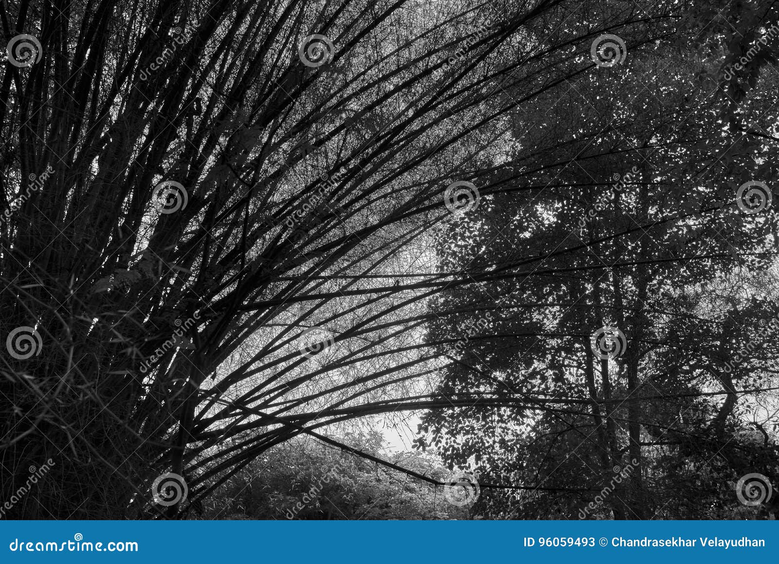 Foreboding Appearance Photos - Free & Royalty-Free Stock Photos from ...