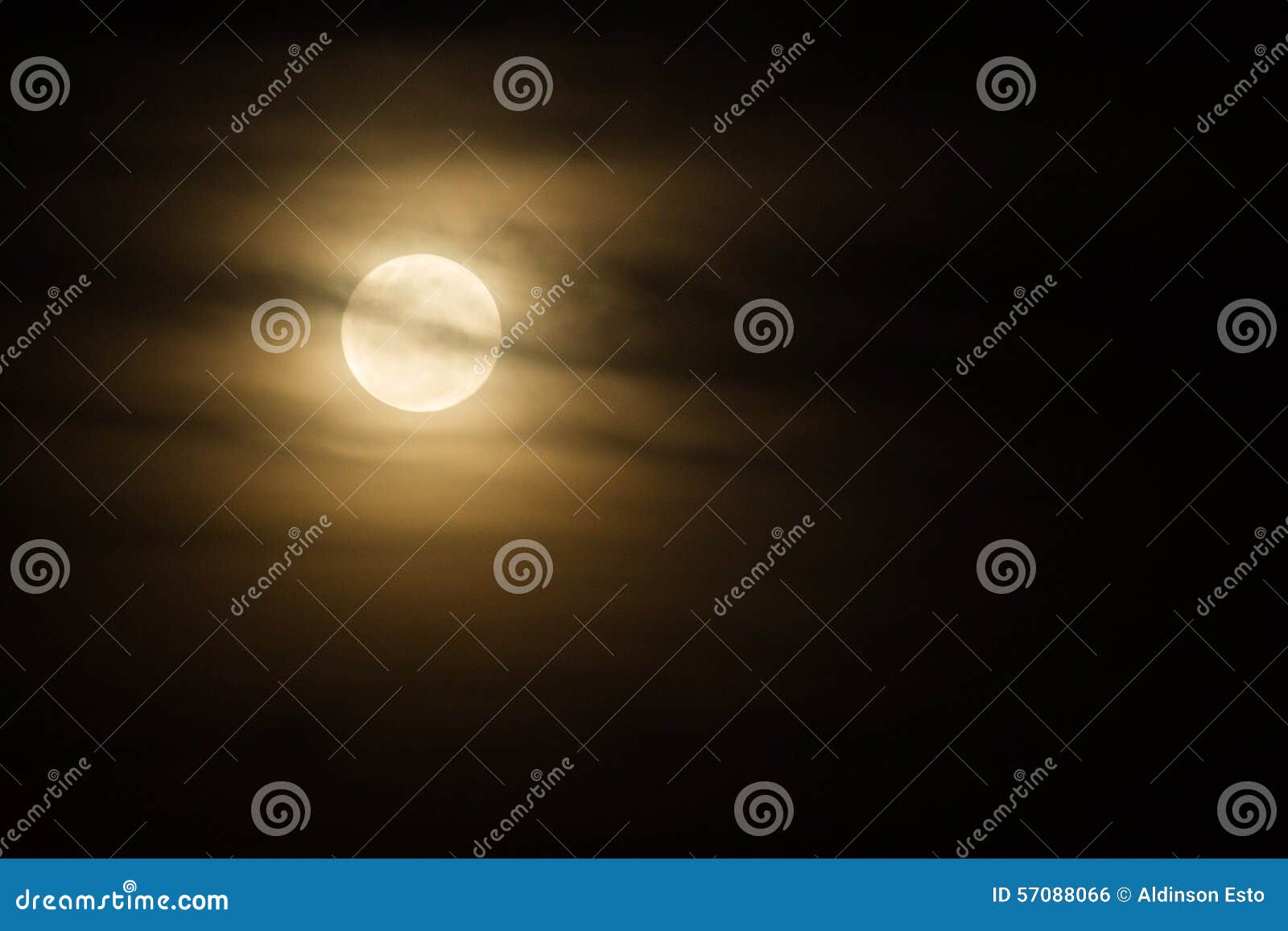 Eerie Moon stock photo. Image of munia, scavenge, flies - 57088066